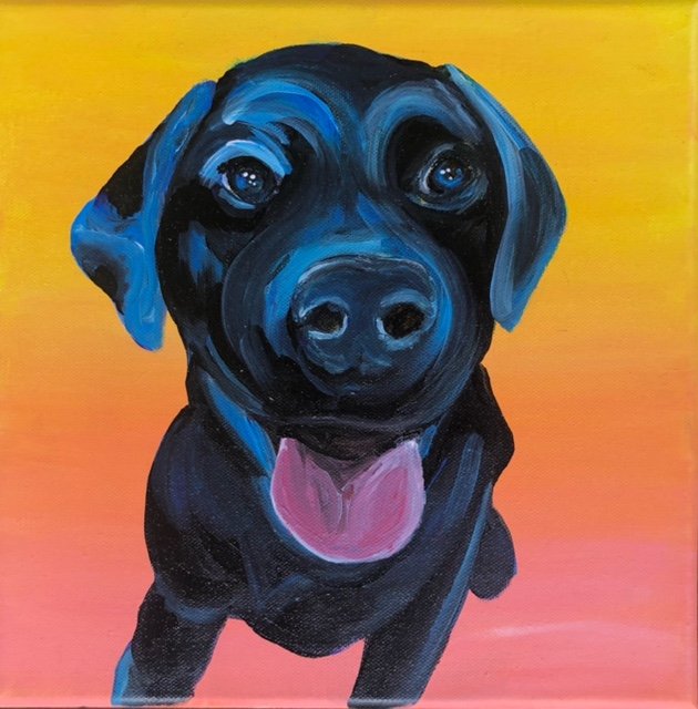 Portfolio — Darner Fine Art and Illustration, LLC