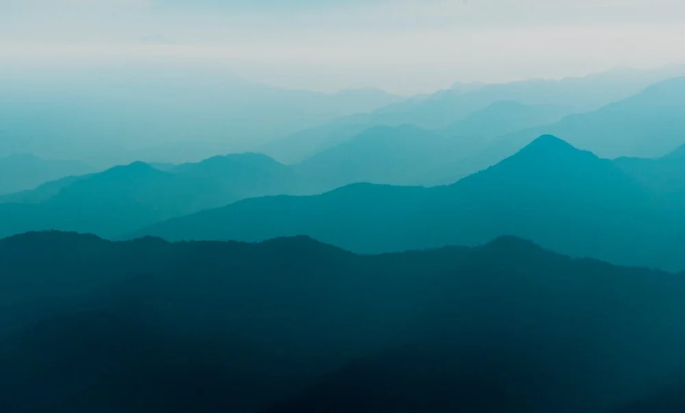 IFS Telehealth Collective | Online IFS Therapy in CA, NY, MA, FL, and OR