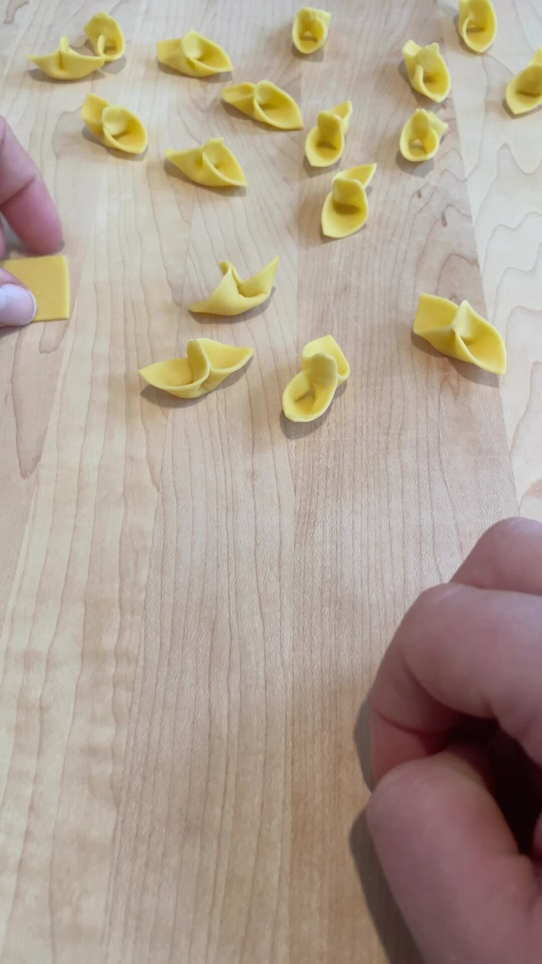 Artichoke Ricotta Ravioli — Nina's Pasta Project