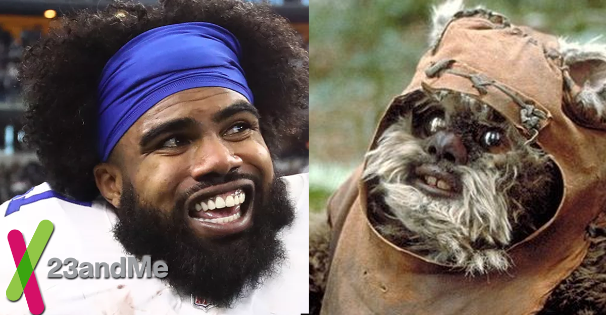 Sources: Cowboys, RB Ezekiel Elliott open to possible reunion : r/nfl