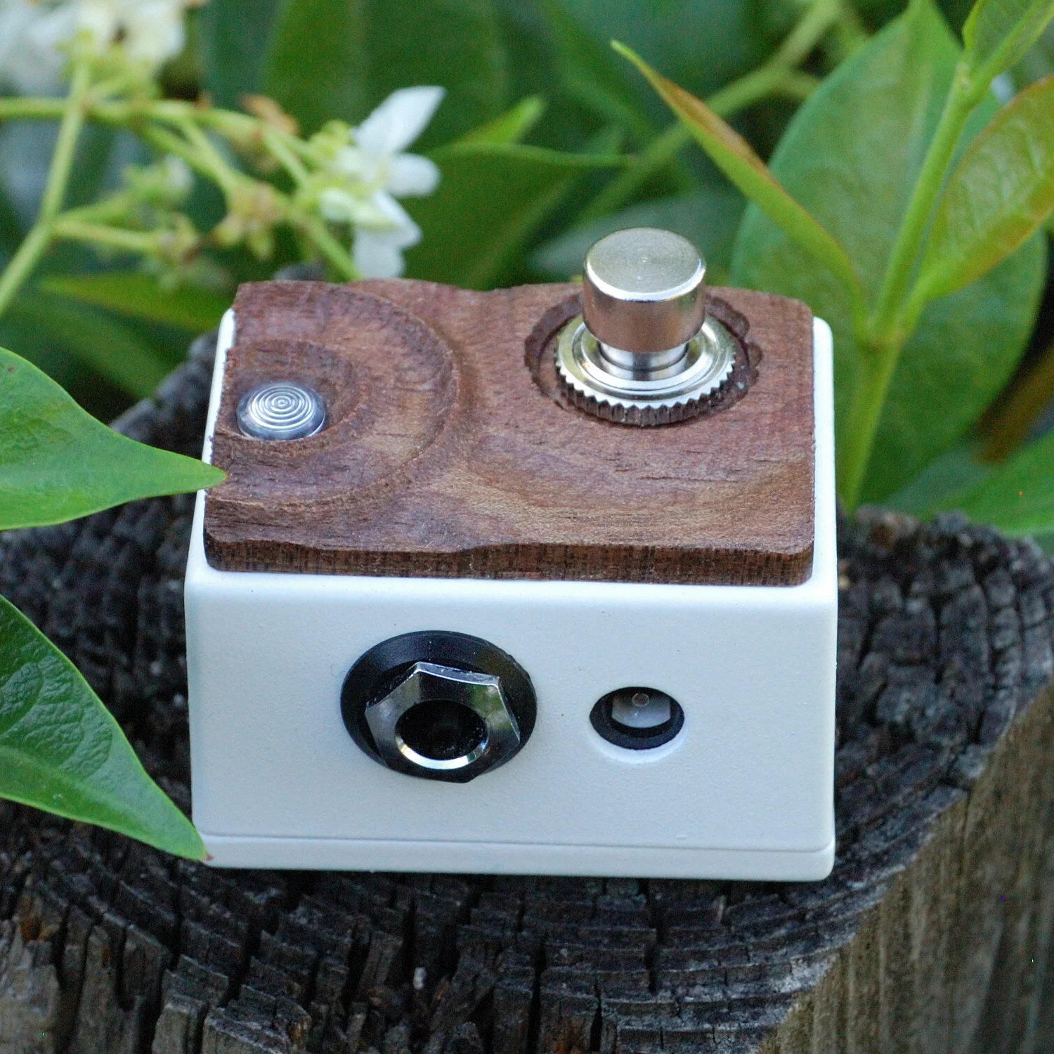 Tall Timber Single Switch — Tall Timber