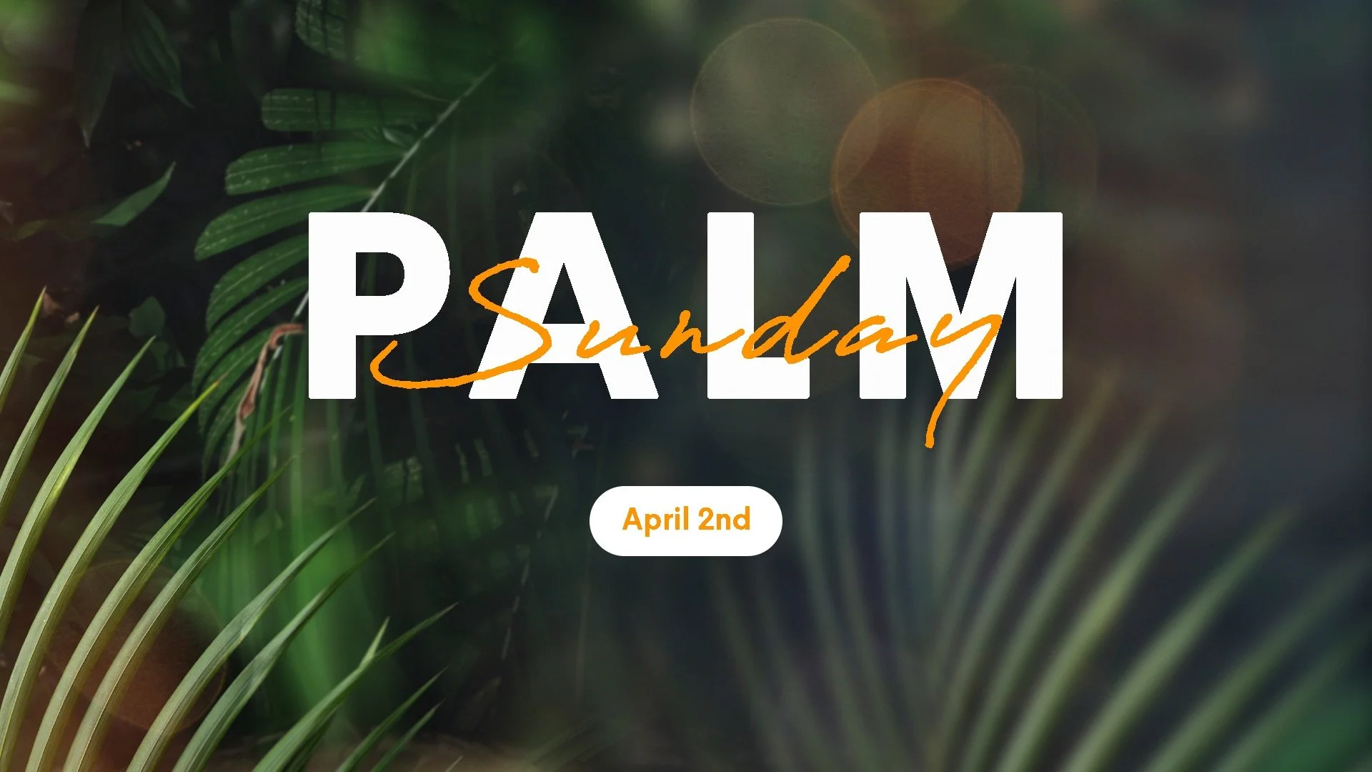 Plam Sunday — Rethink Life Church