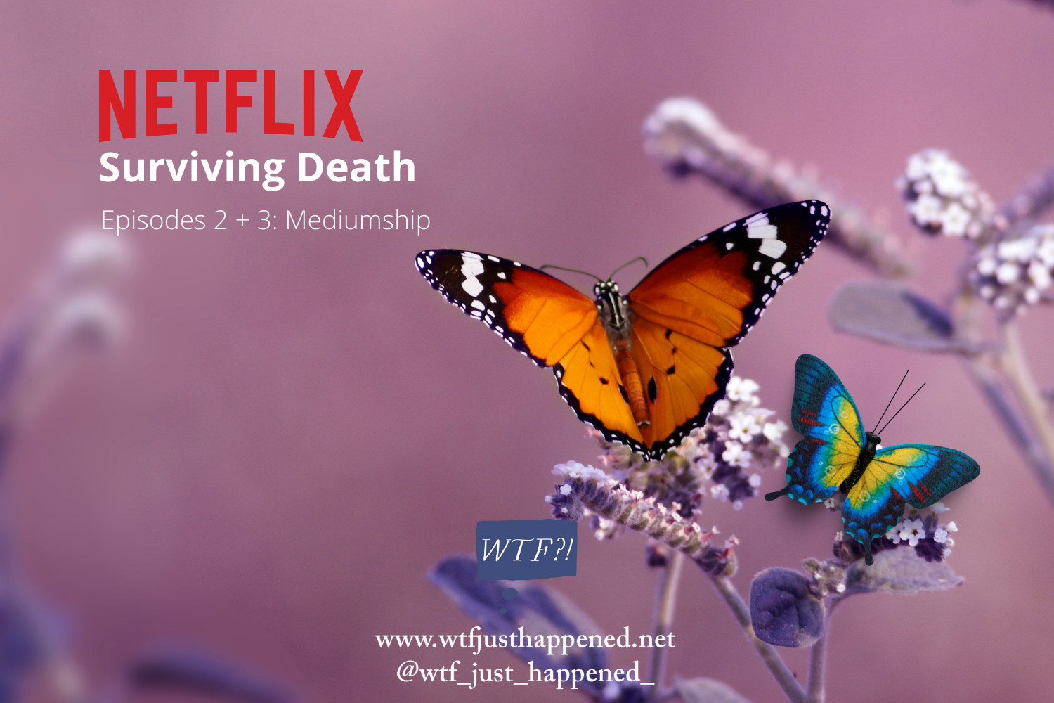Were the Mediums Genuine on Surviving Death Netflix: Mediumship Episode ...