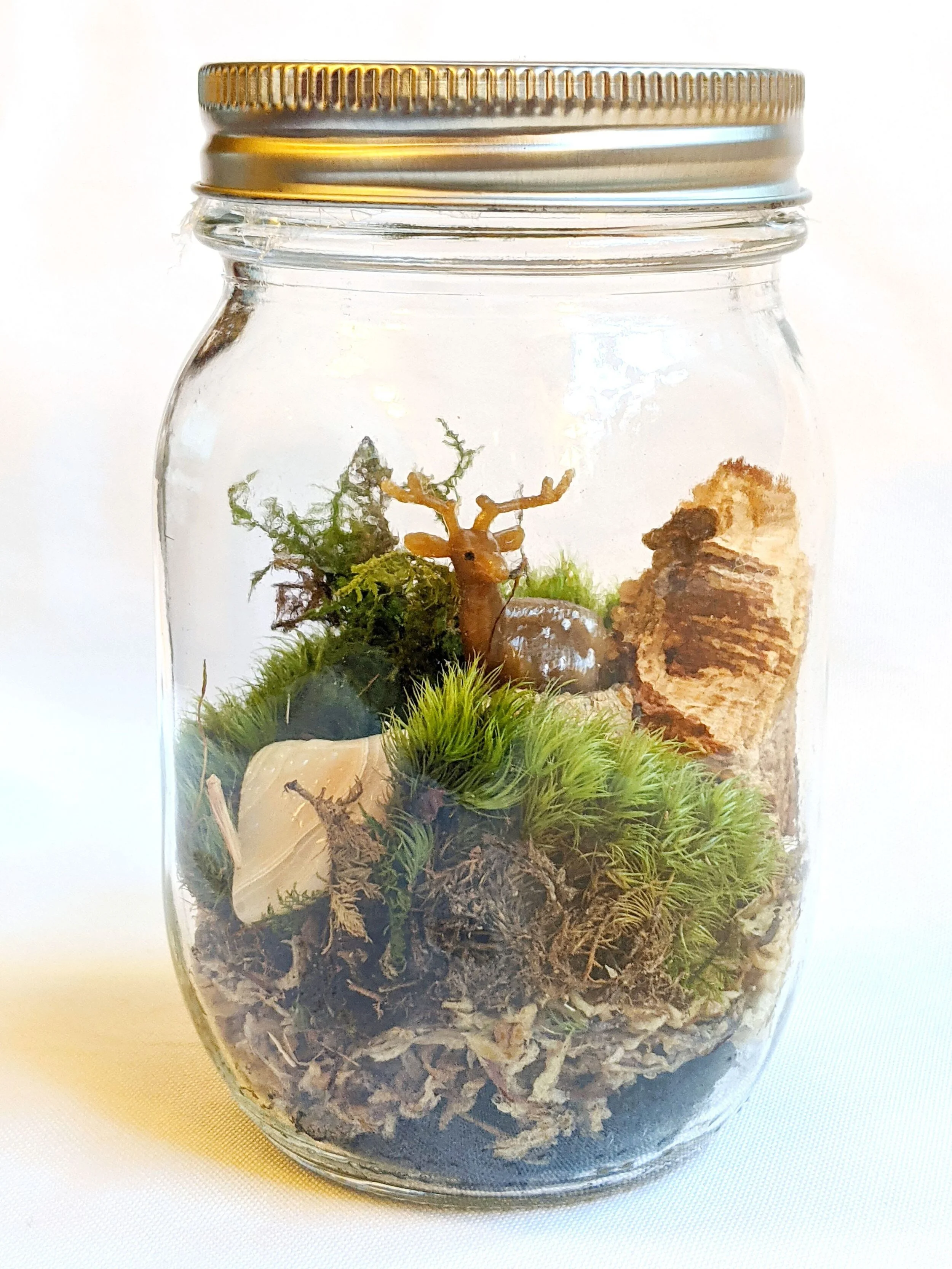 Mason Jar Terrarium