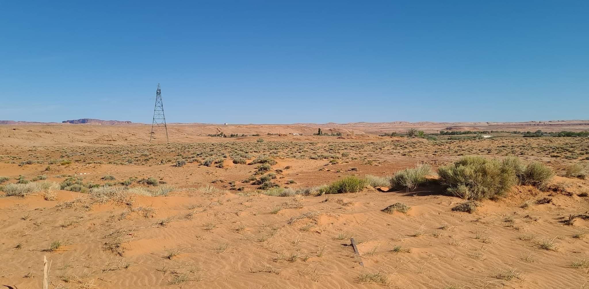 Programs — Nááts'íilid Initiative