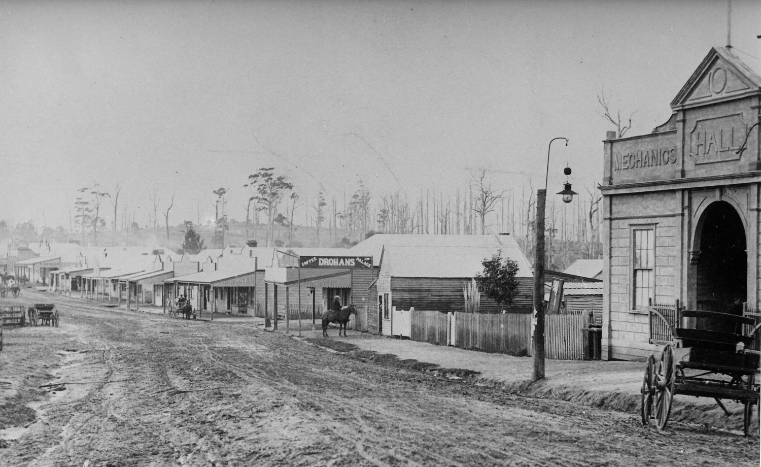 Discover Mirboo North | South Gippsland, Victoria