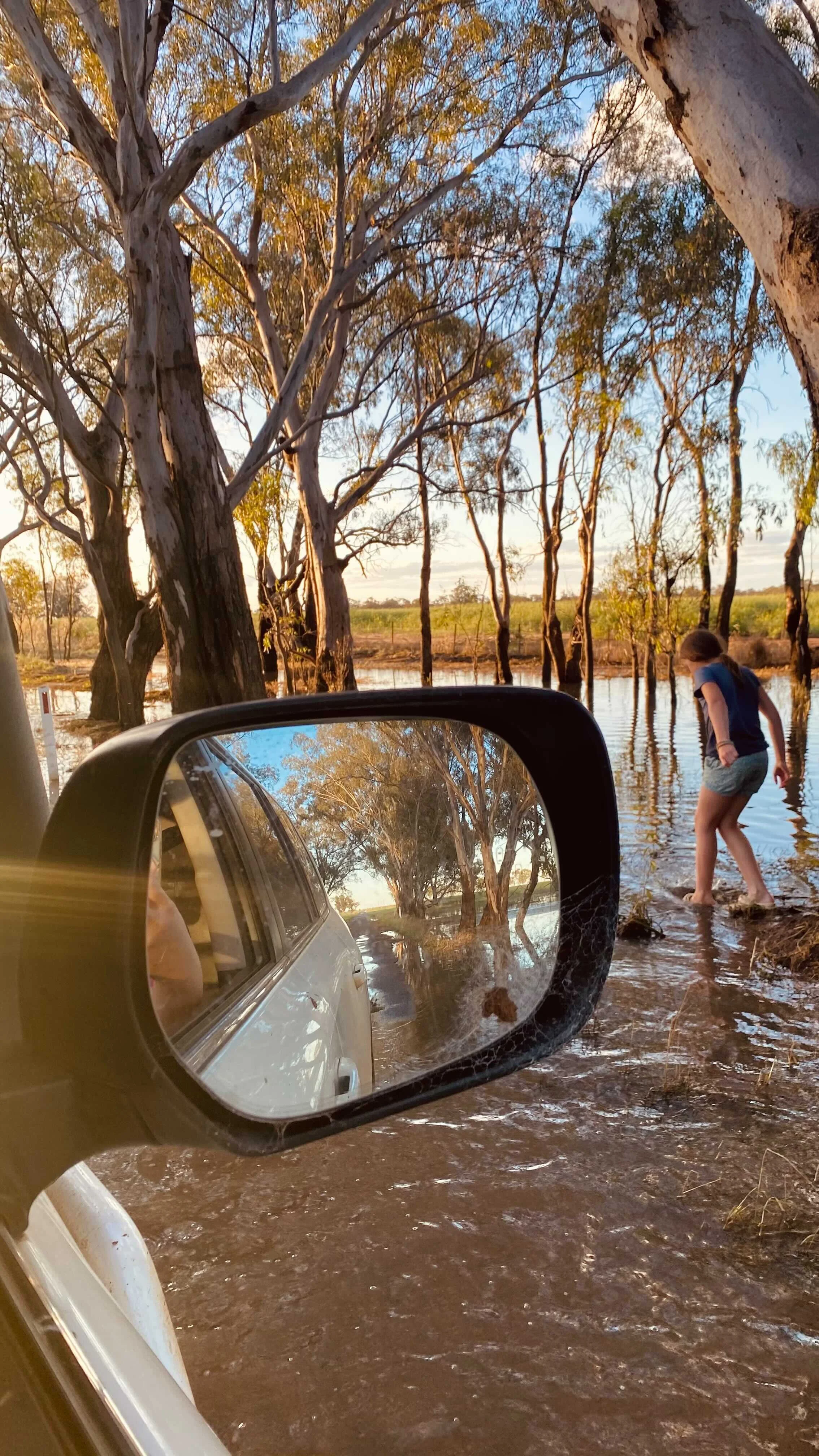 Blue Claw — Clancy Paine