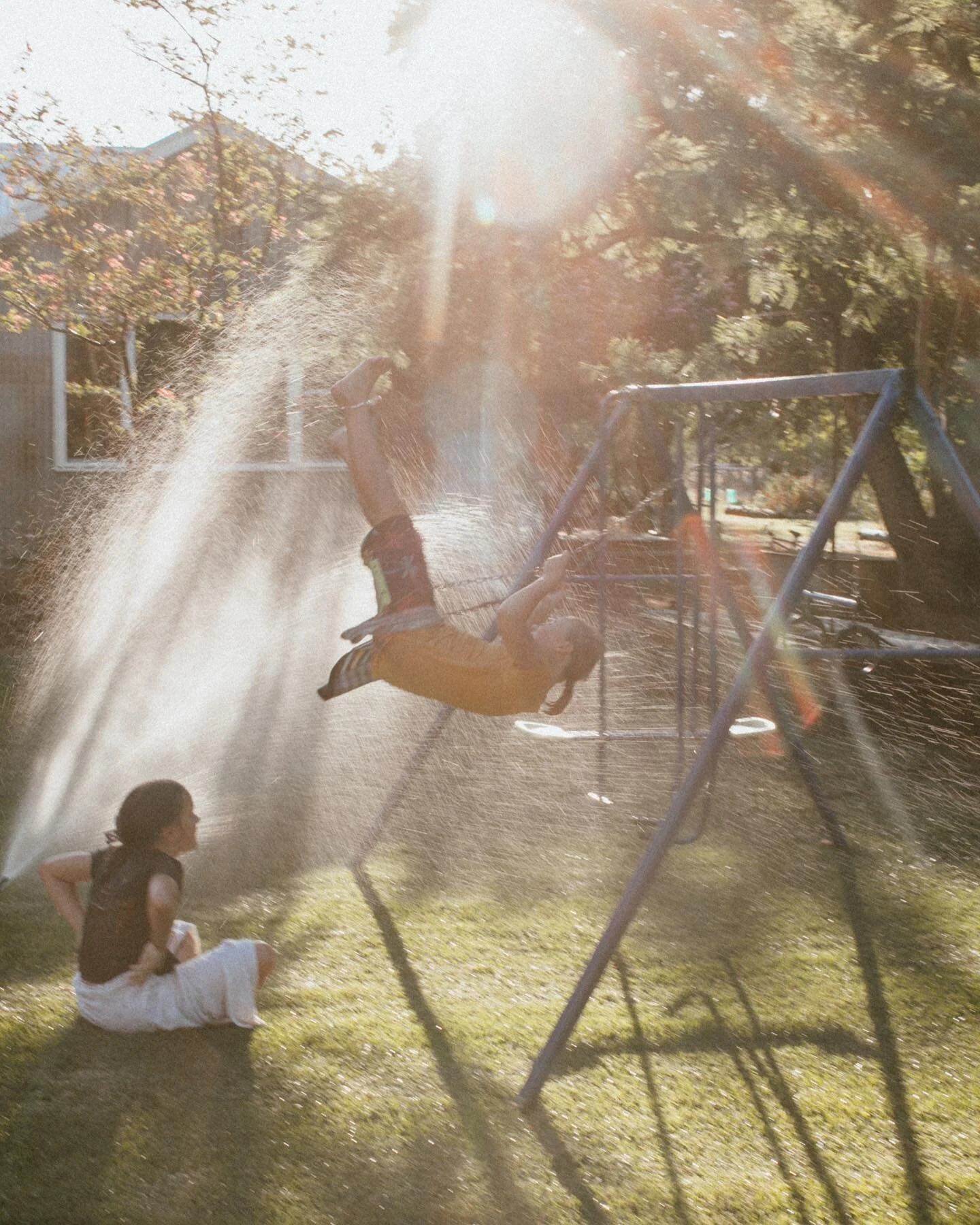 Shop — Clancy Paine