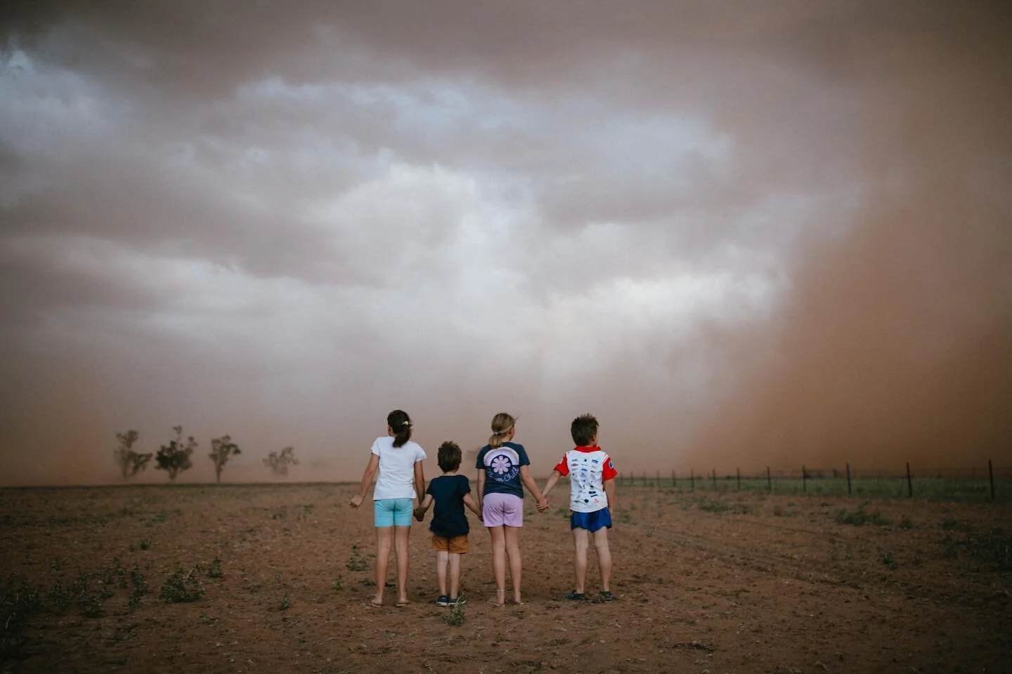 Shop — Clancy Paine