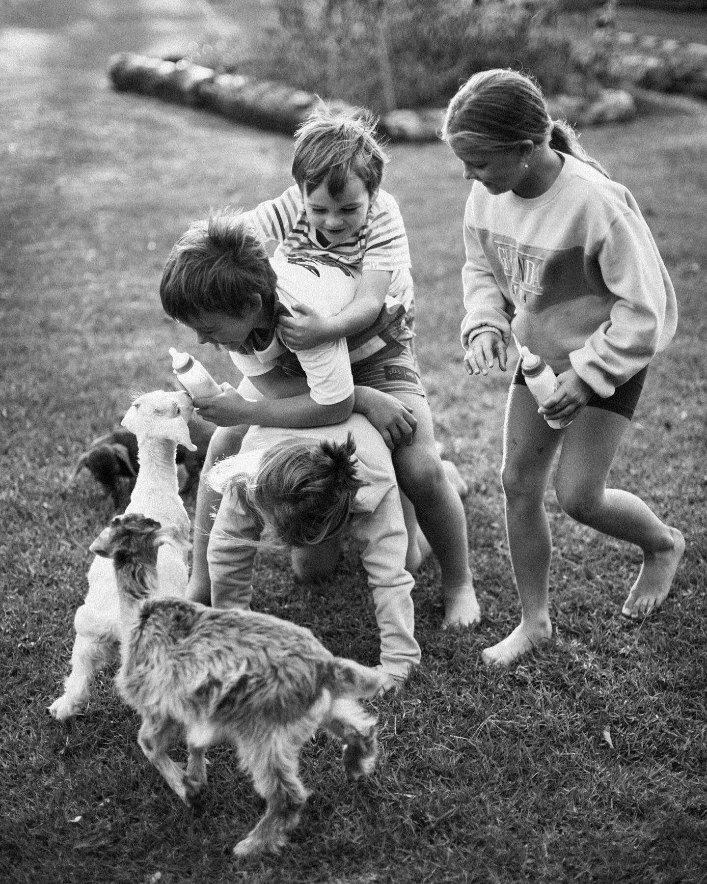 Shop — Clancy Paine