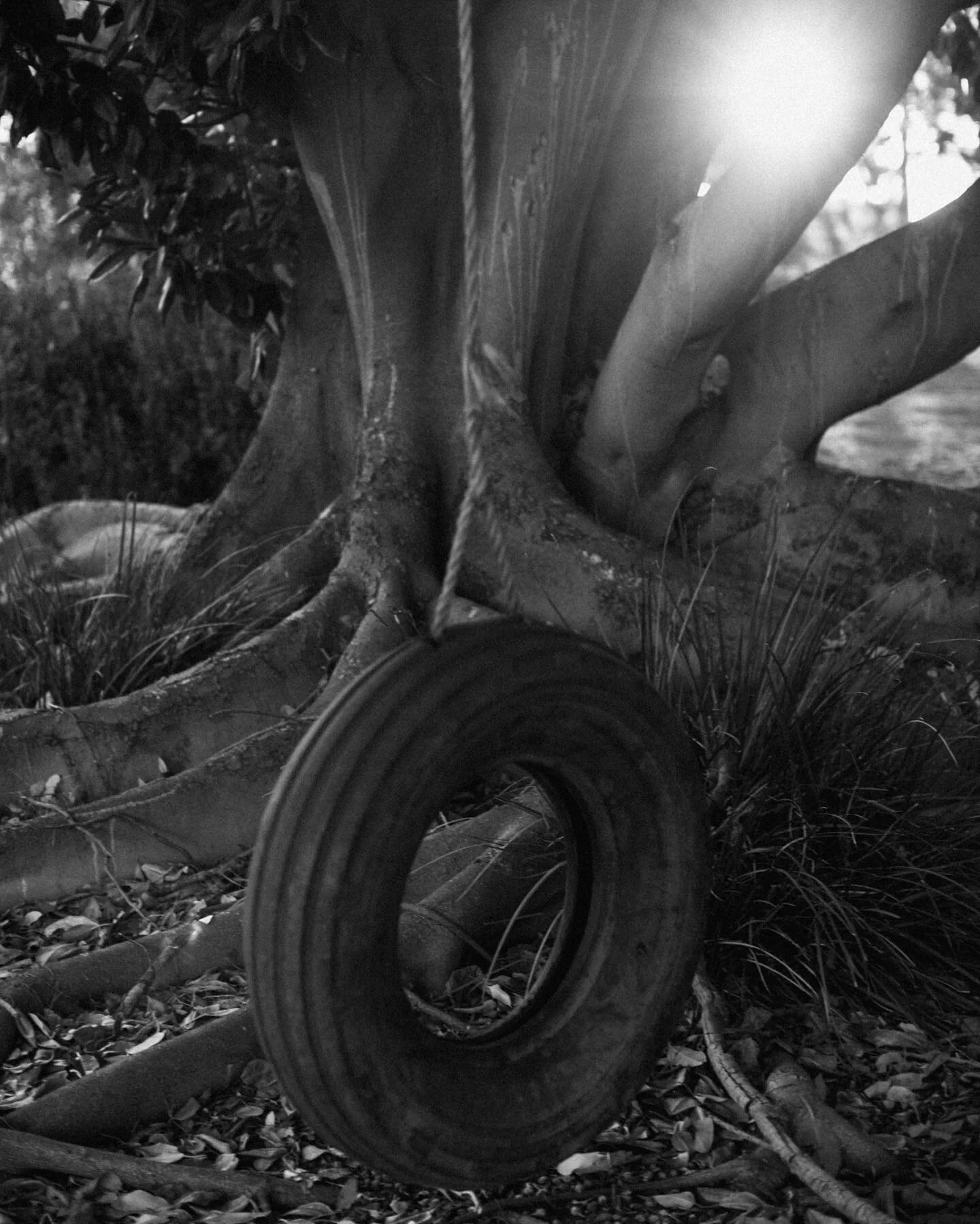 Shop — Clancy Paine