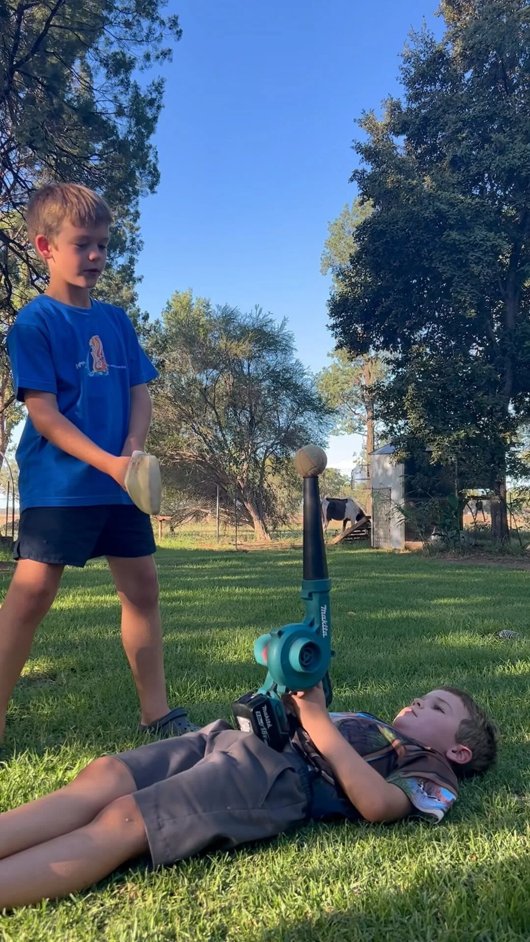 Hydrangeas Holden, No.2 — Clancy Paine