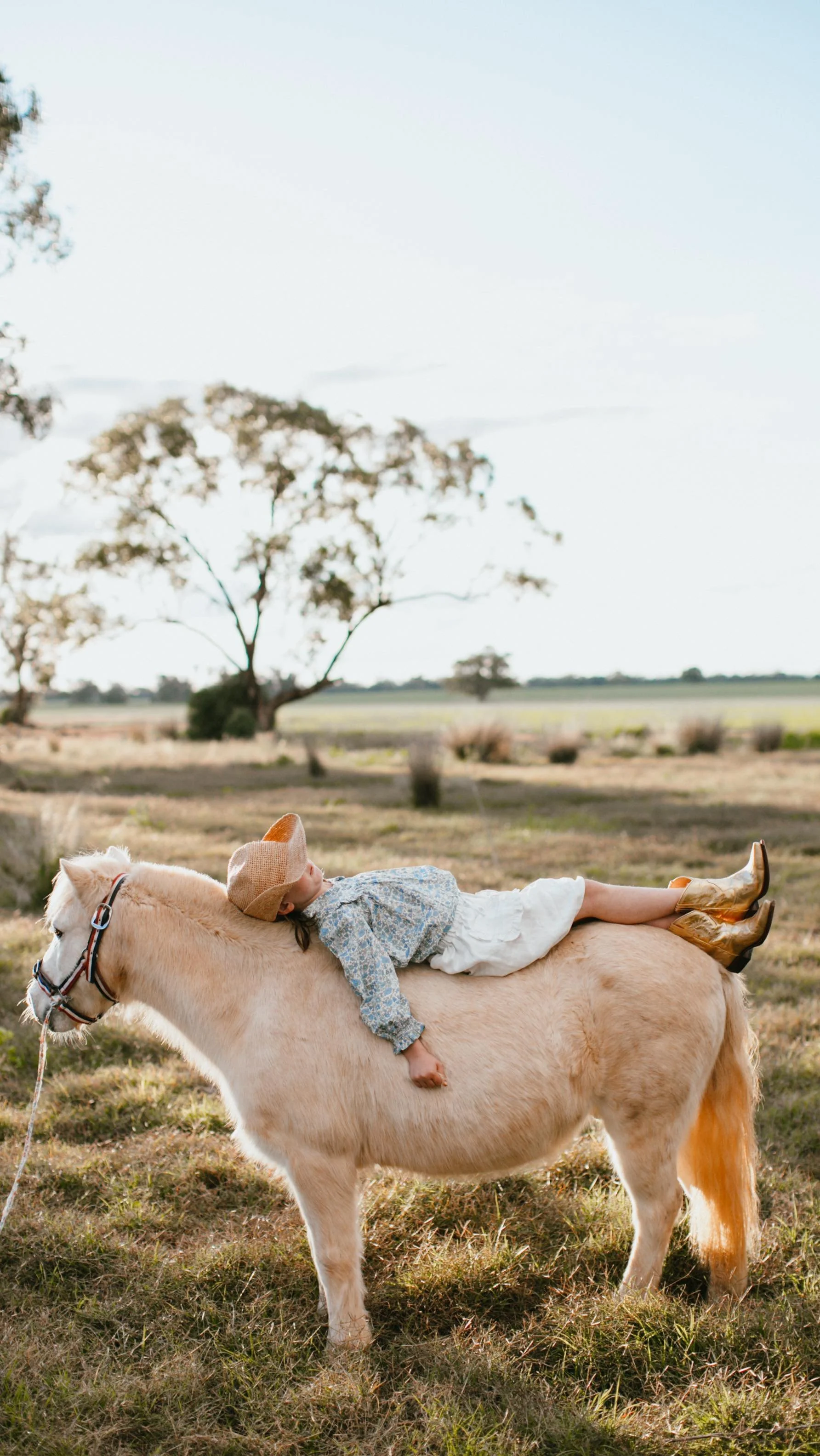 Shop — Clancy Paine