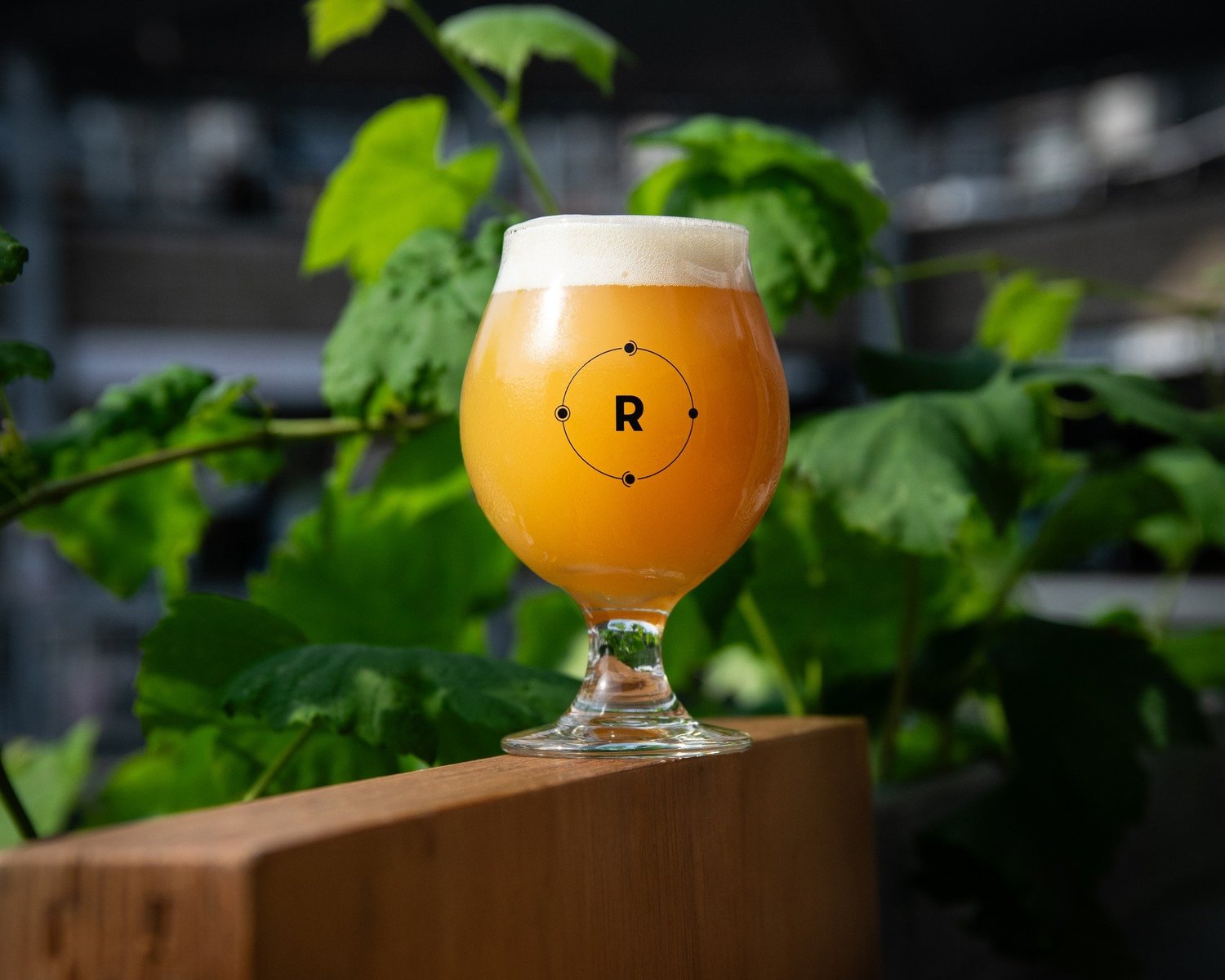 Events — Remnant Brewing