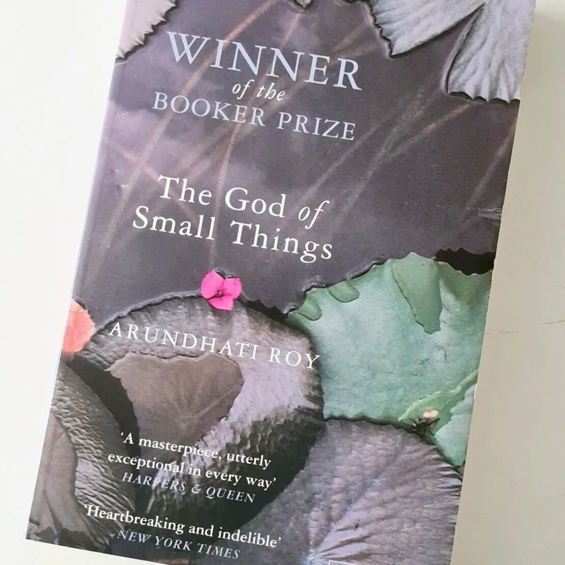 The God of Small Things by Arundhati Roy (1997) - All the Booker ...