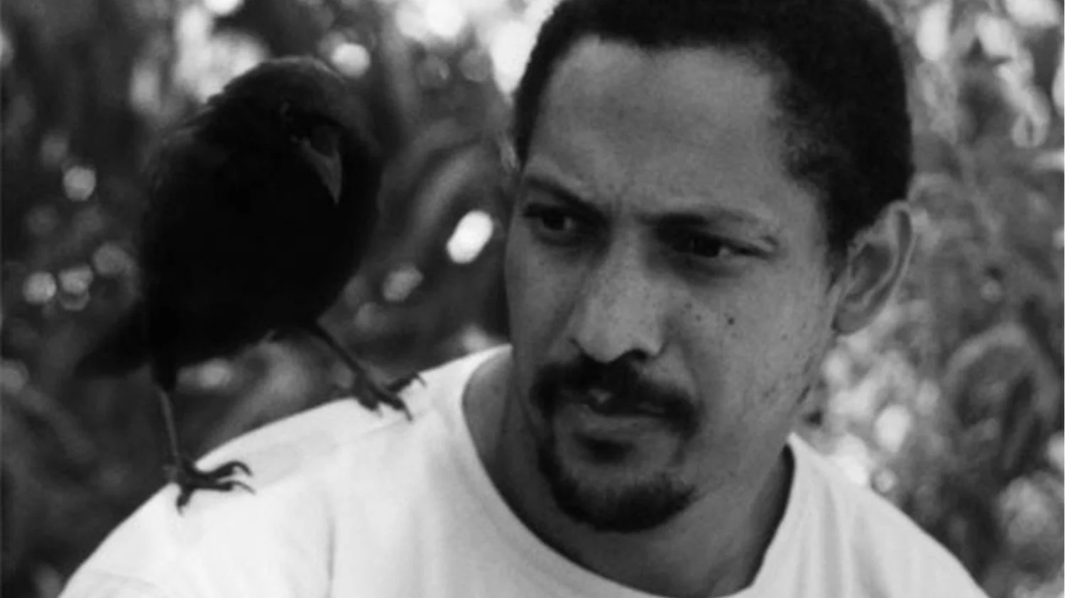 Erasure (2001) by Percival Everett — Eyes on the Prize