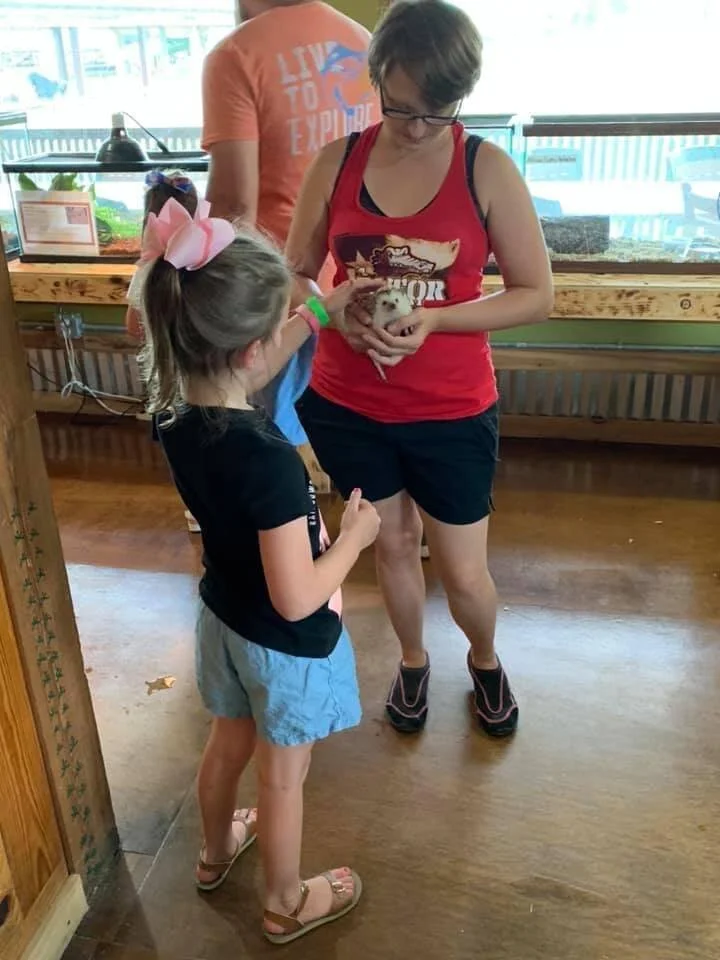 Gator Country Adventure Park