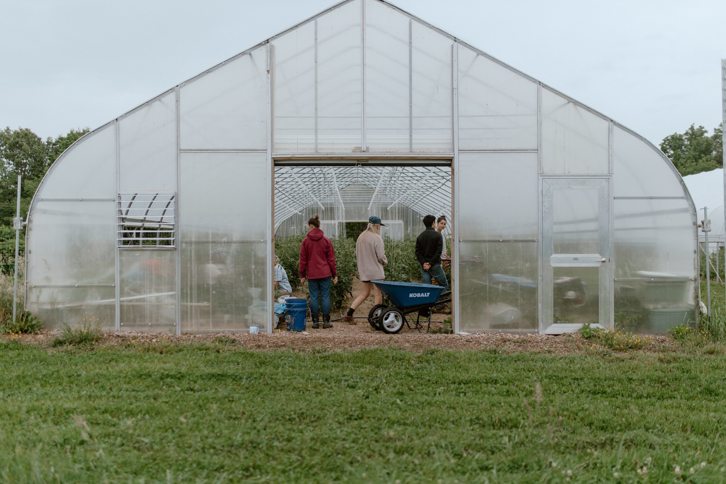 New Roots Community Farm
