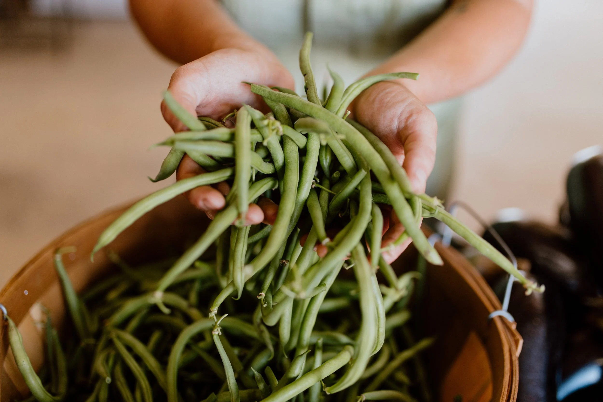 New Roots Community Farm