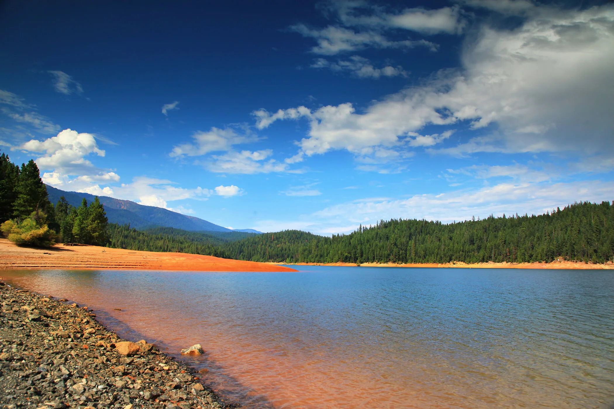 Shasta Trinity Camping