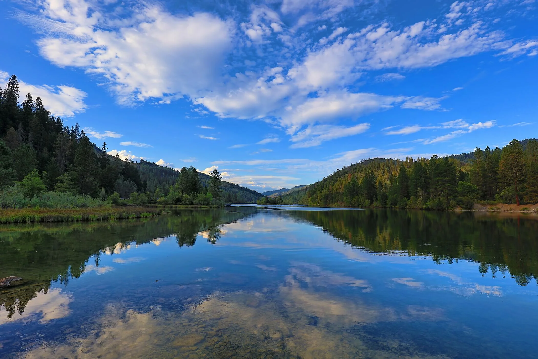 Shasta Trinity Camping