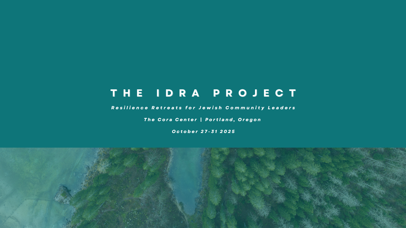 The Idra Project: Resilience Retreats for Jewish Community Leaders ...