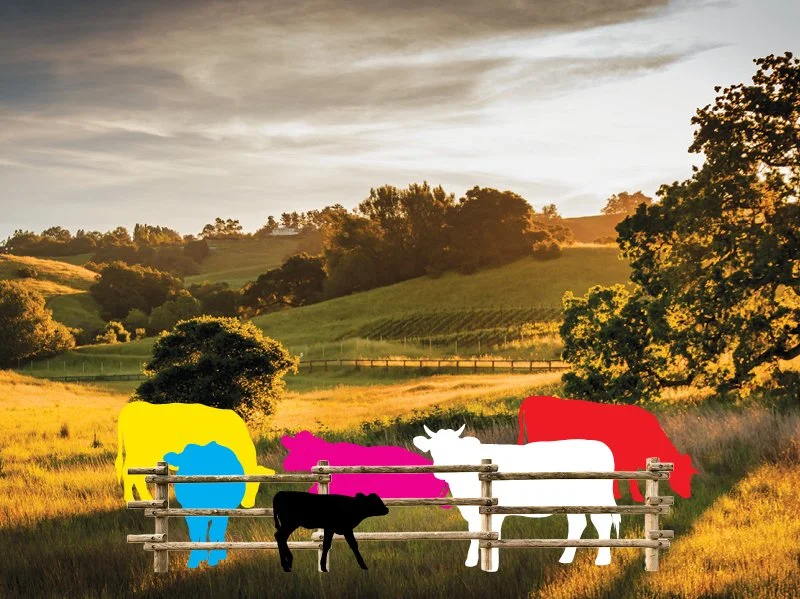 About Orcutt - Old Town Orcutt