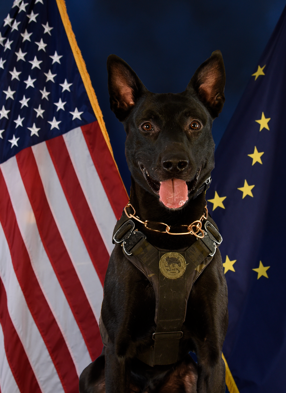 K9 Teams — Anchorage Police Department