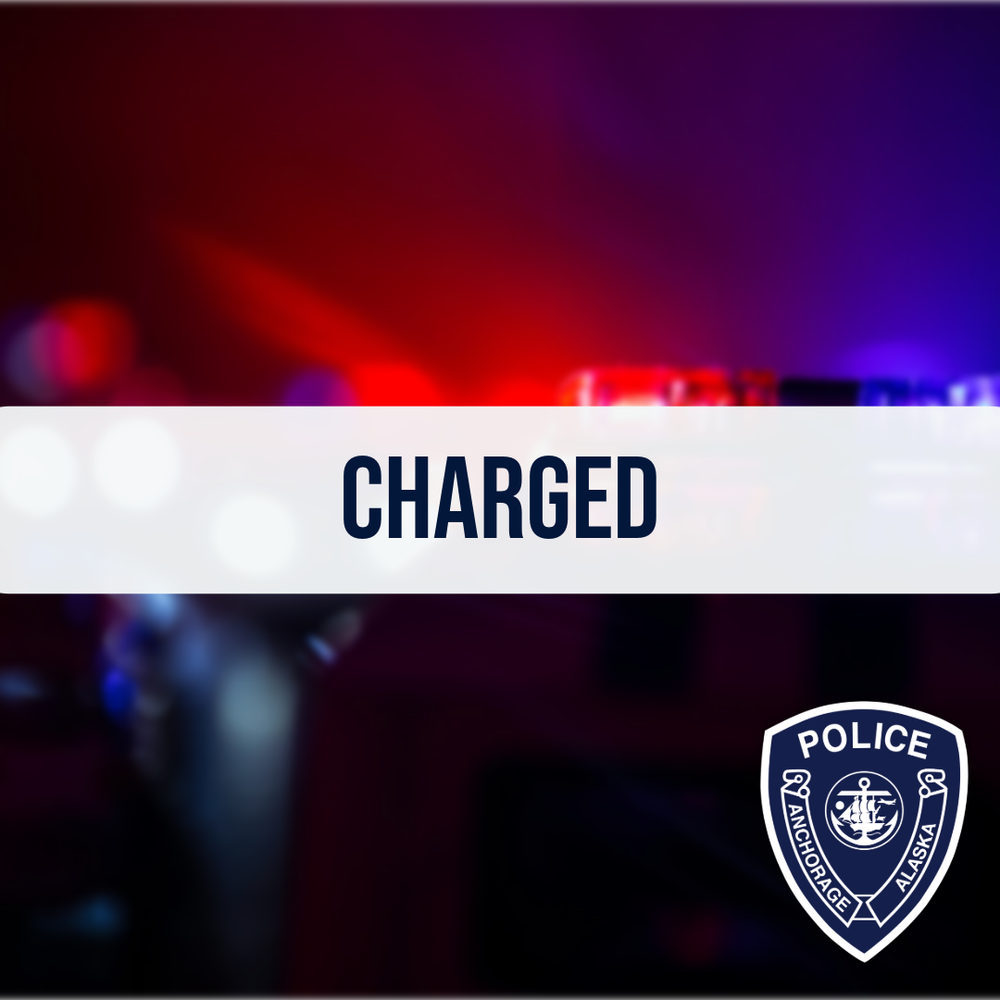 ARREST: 333 E. TUDOR ROAD — Anchorage Police Department