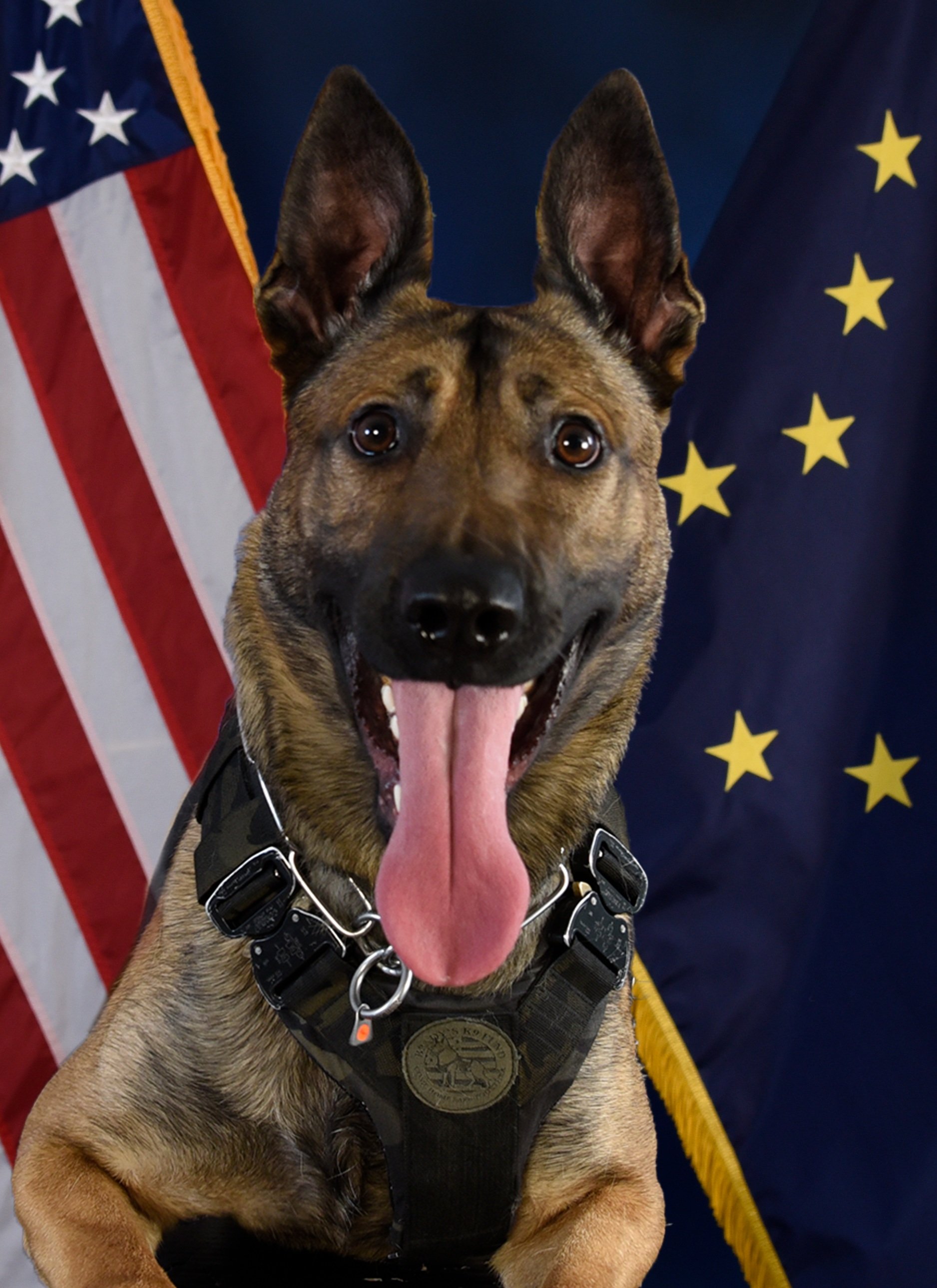 K9 Teams — Anchorage Police Department