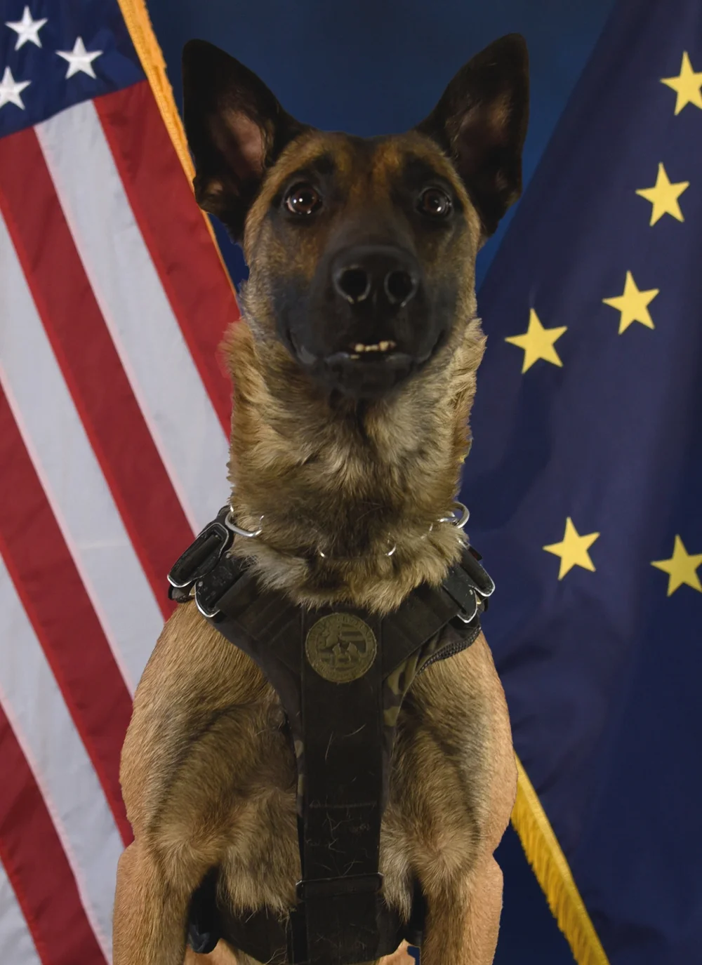K9 Teams — Anchorage Police Department