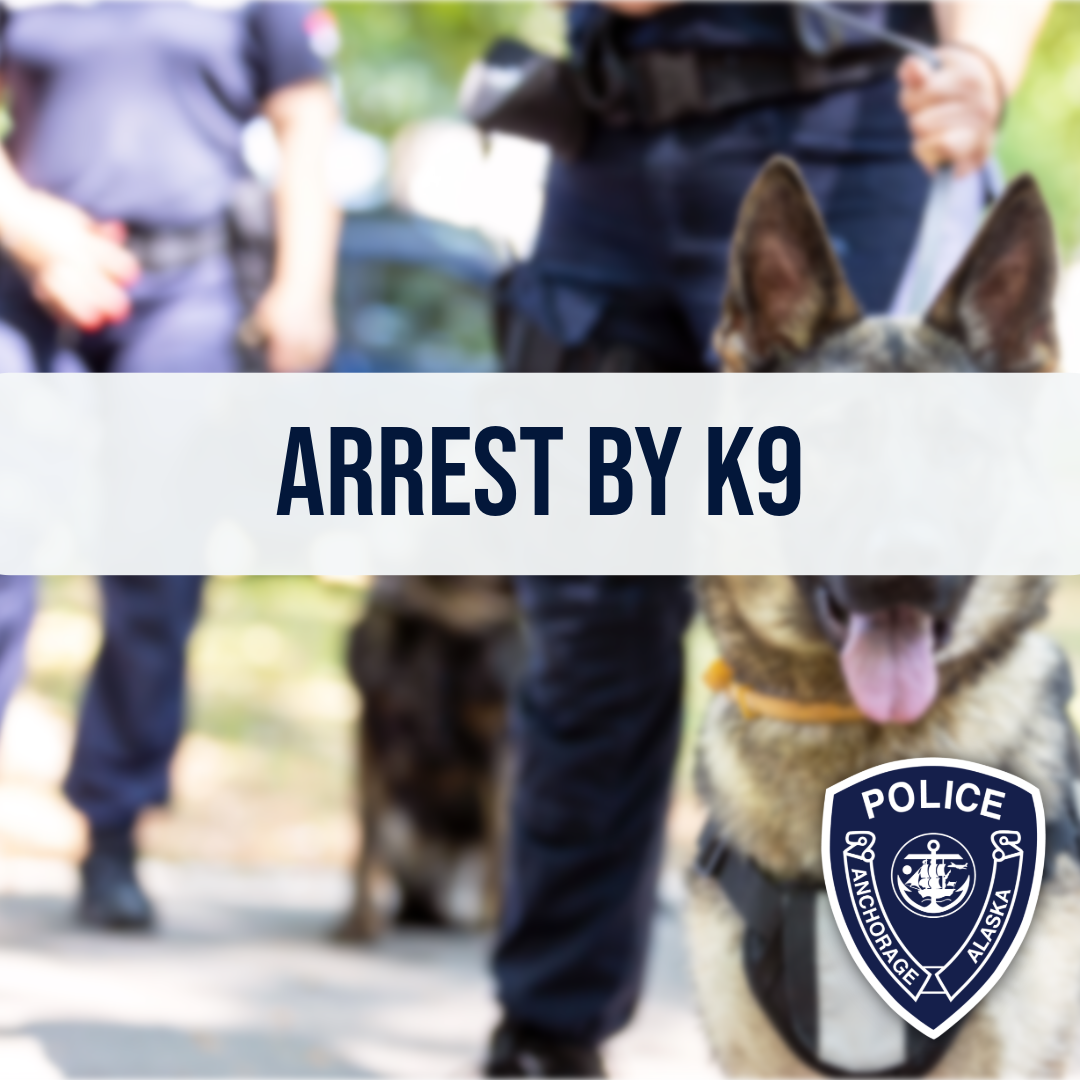 ALEXANDER KHEM ARRESTED BY K9 — Anchorage Police Department