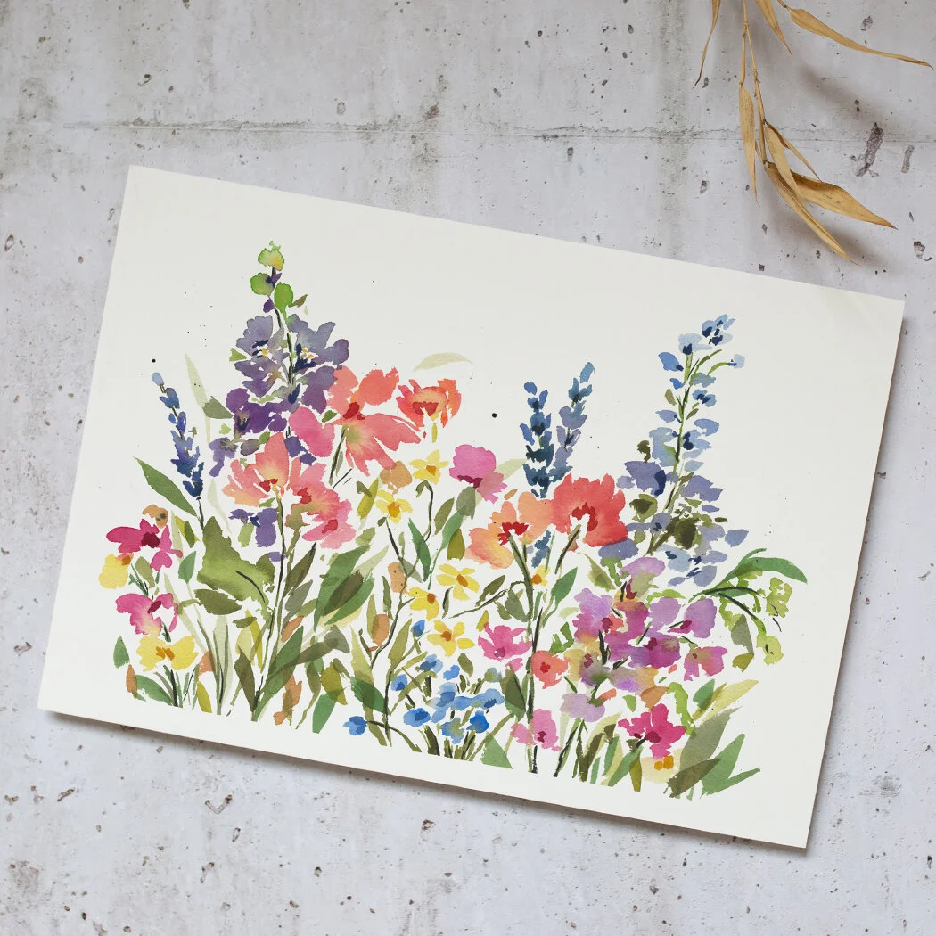 Colorful Wildflower Drawings