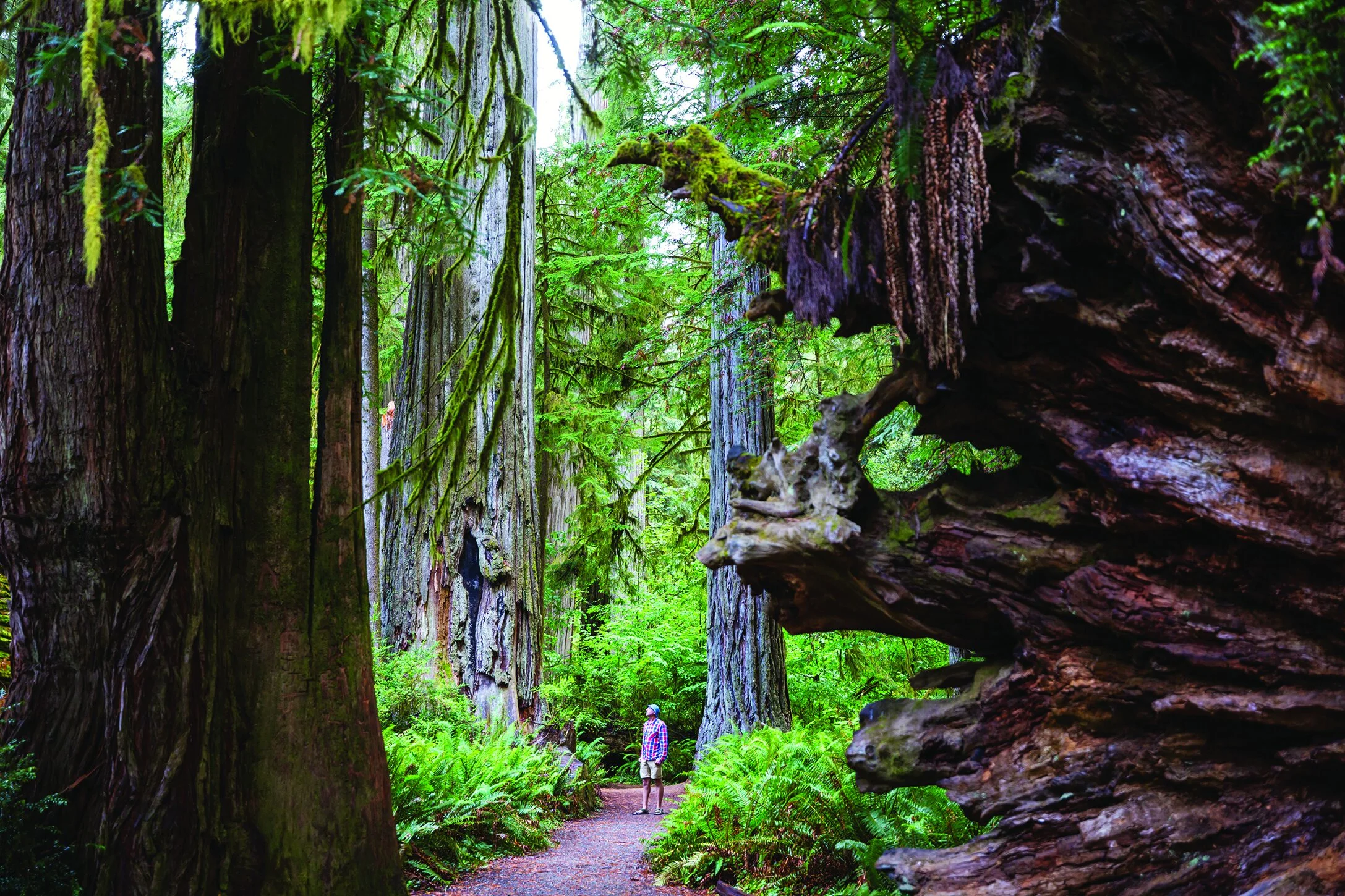 Wanderlust Content Studio