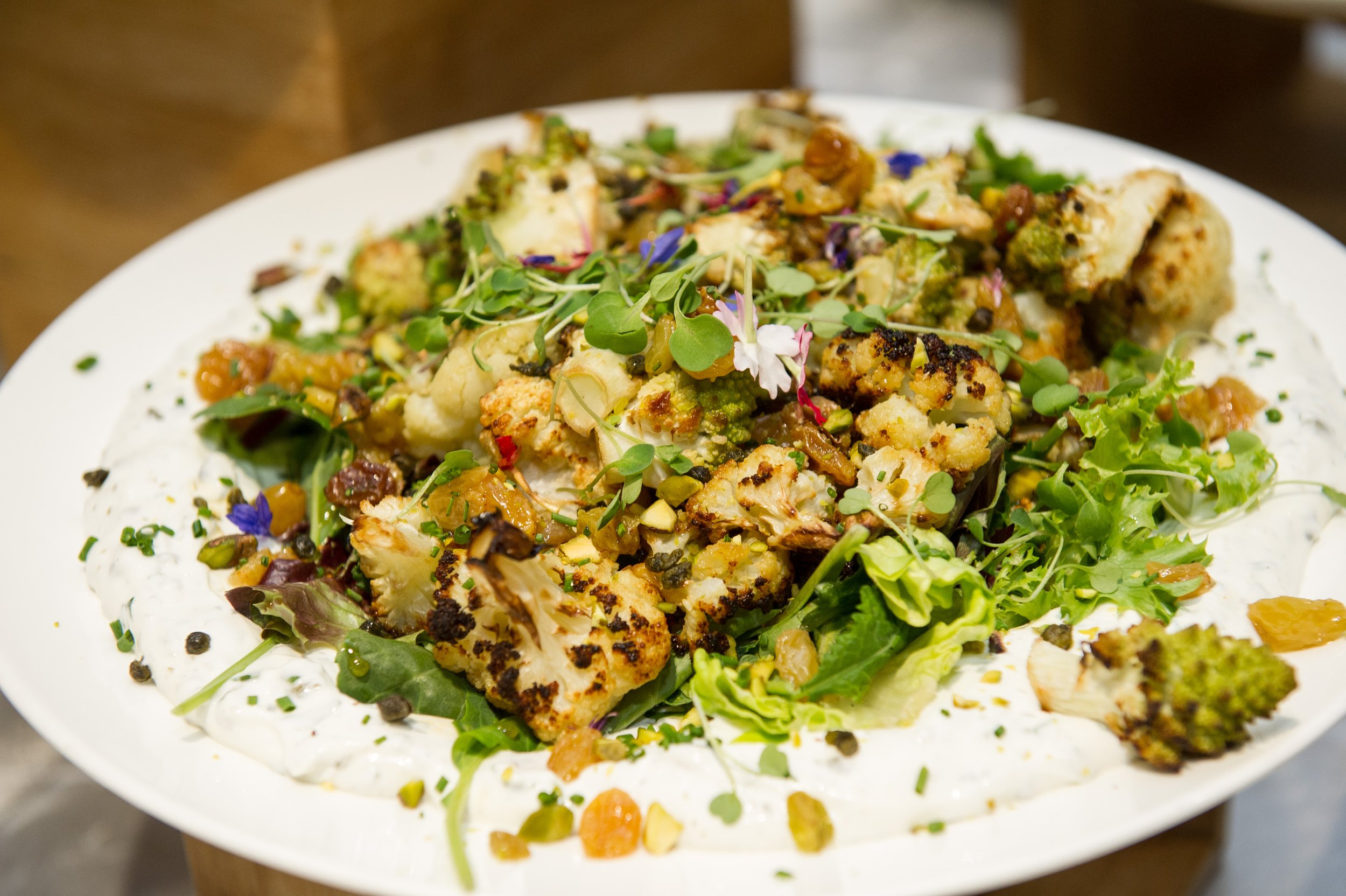 Photos — Menus of Change