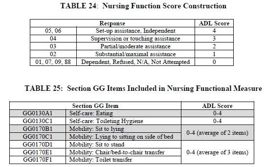 PDPM Final Review: Understanding the Impact of the Patient Driven ...