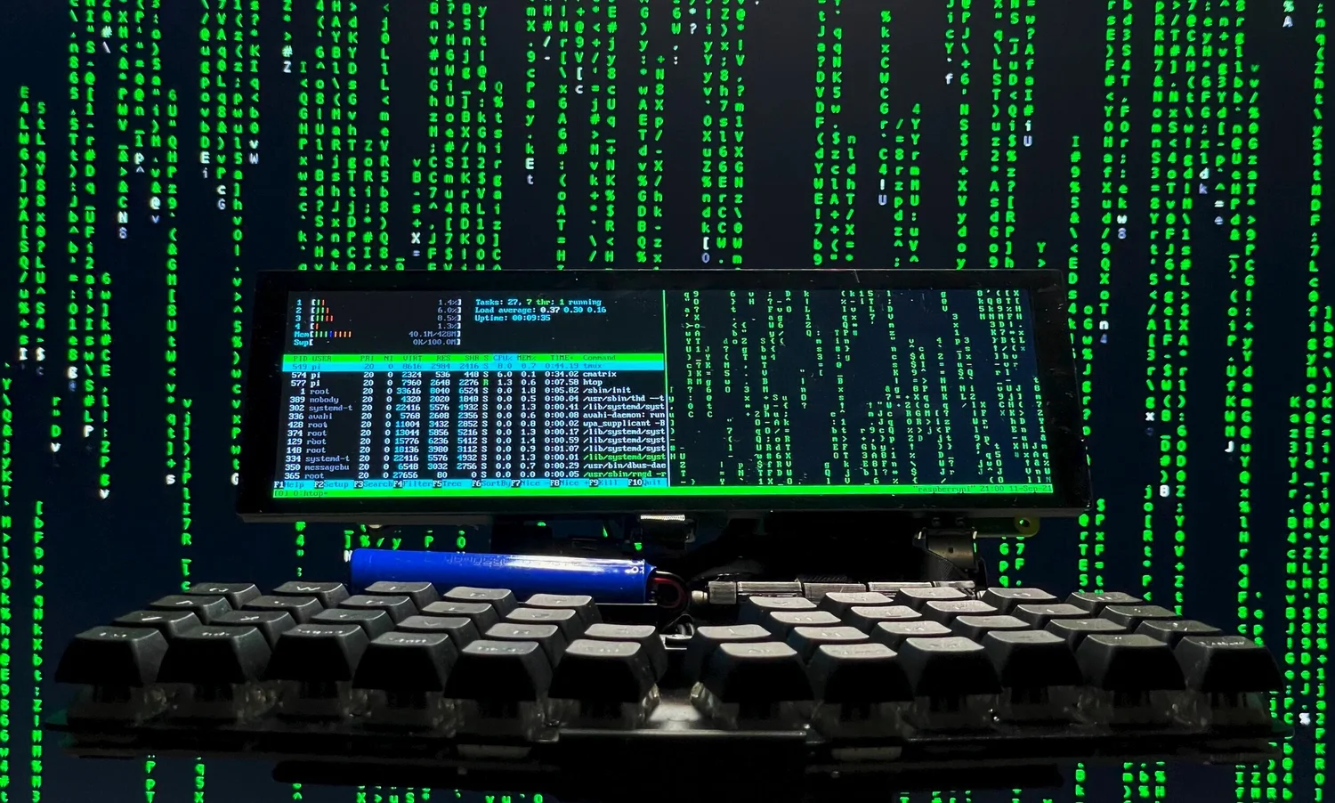 Skeletal Cyberdeck — THE CYBERDECK CAFE