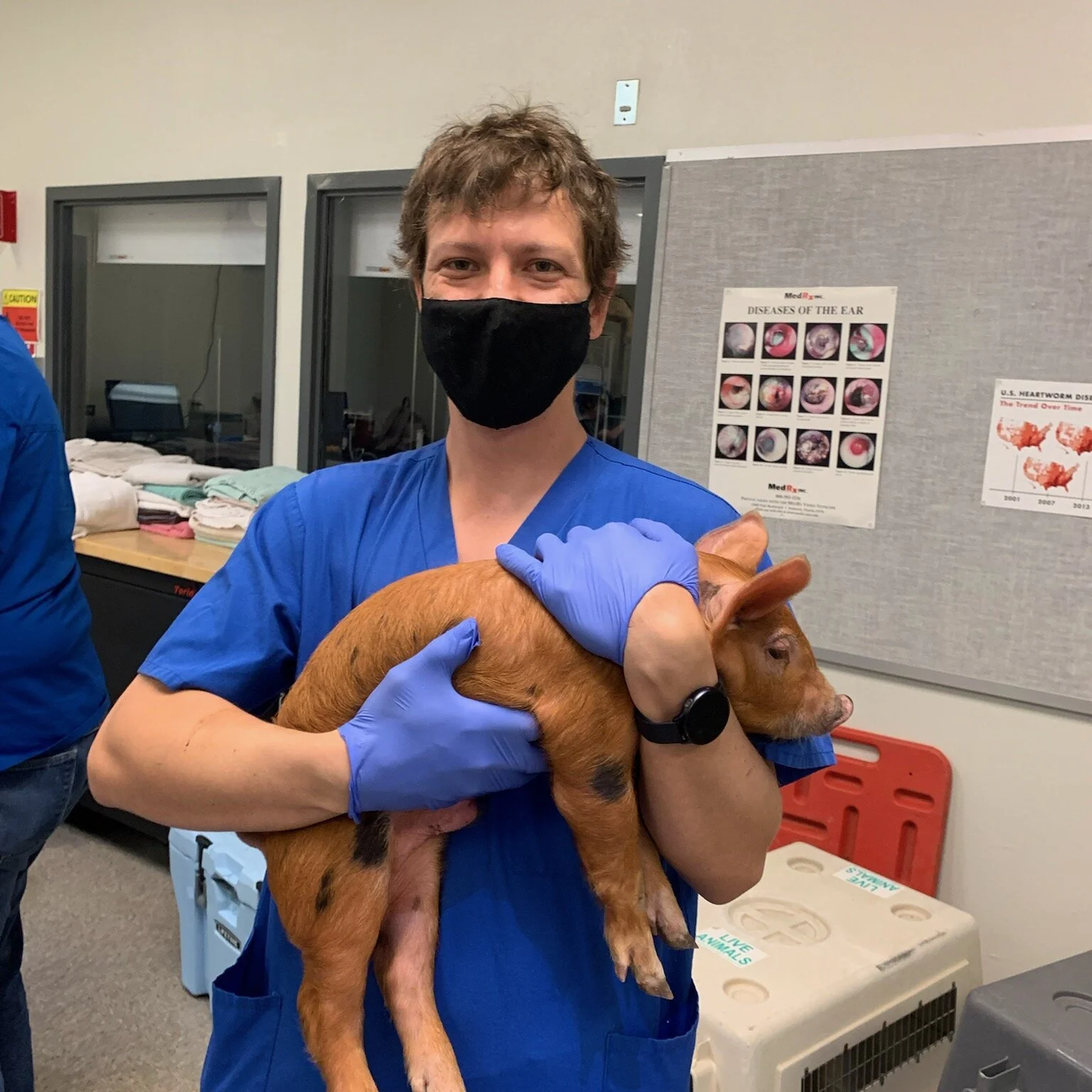 Our Team — Pegasus Veterinary Center