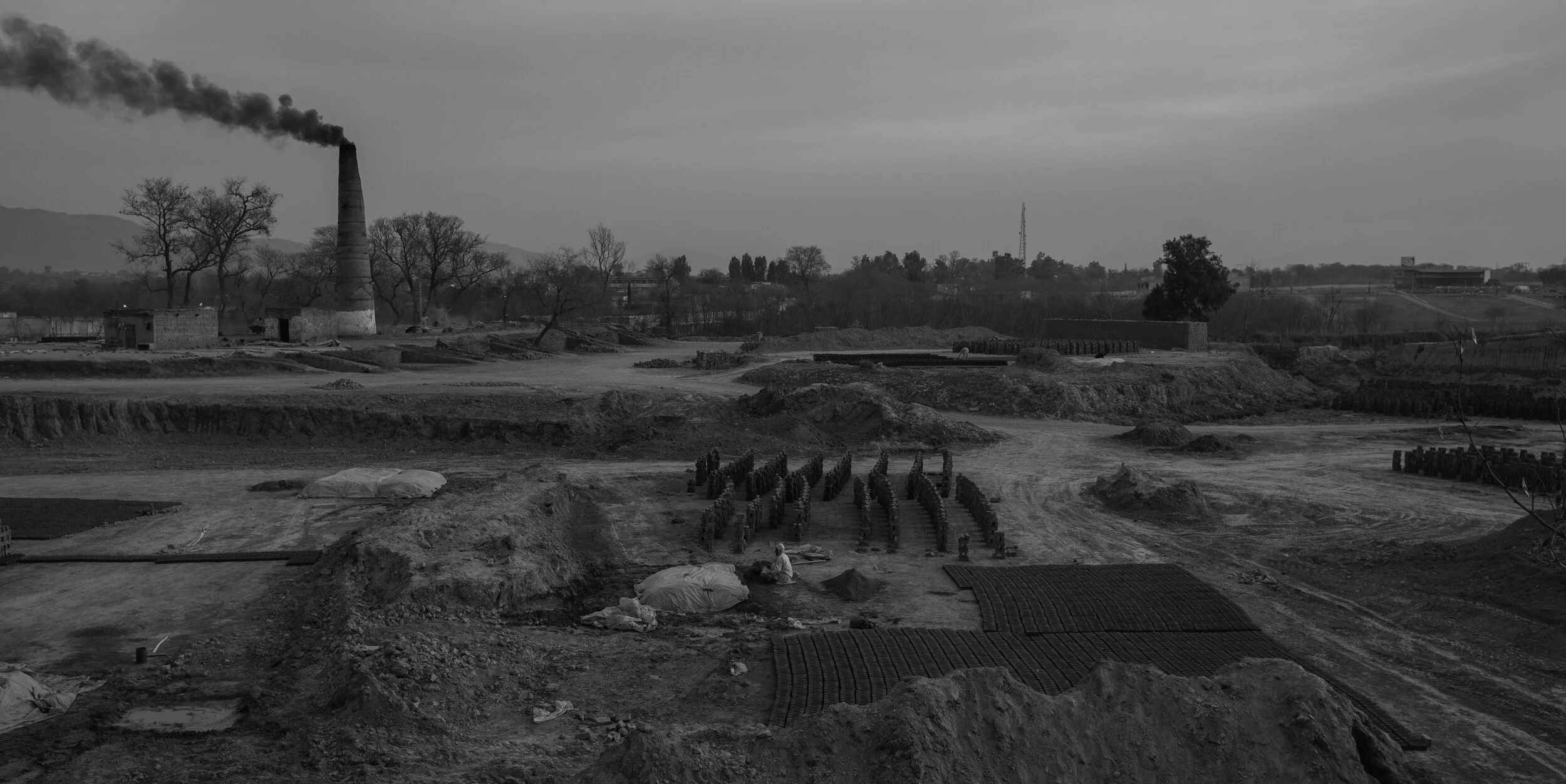 Brick Labour — Rebecca Conway