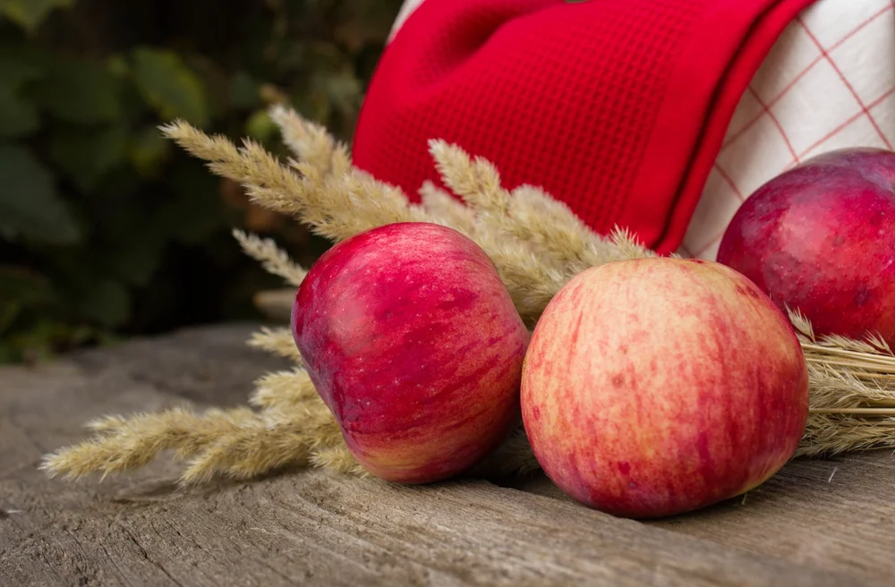 Apple Festival — St. Peter's Grace Episcopal Church