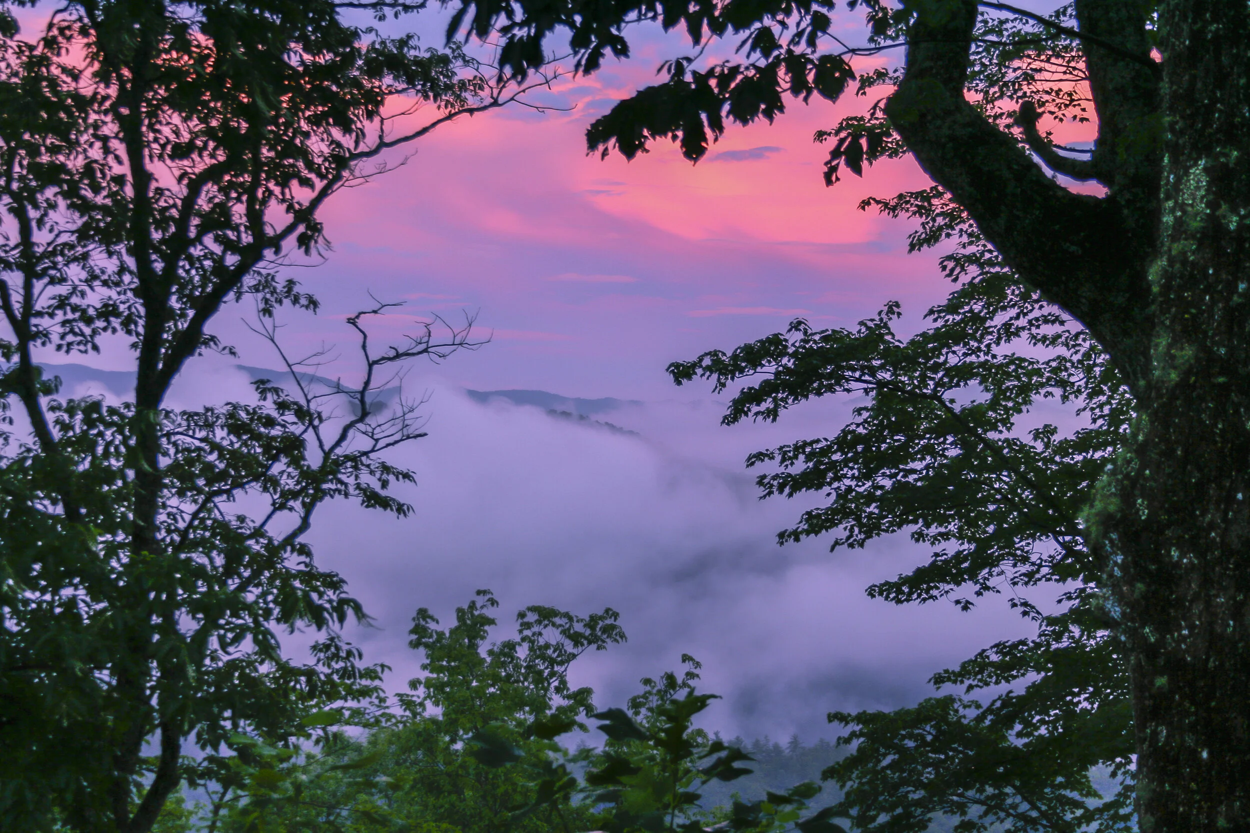 Creation — Peg Hess Photography