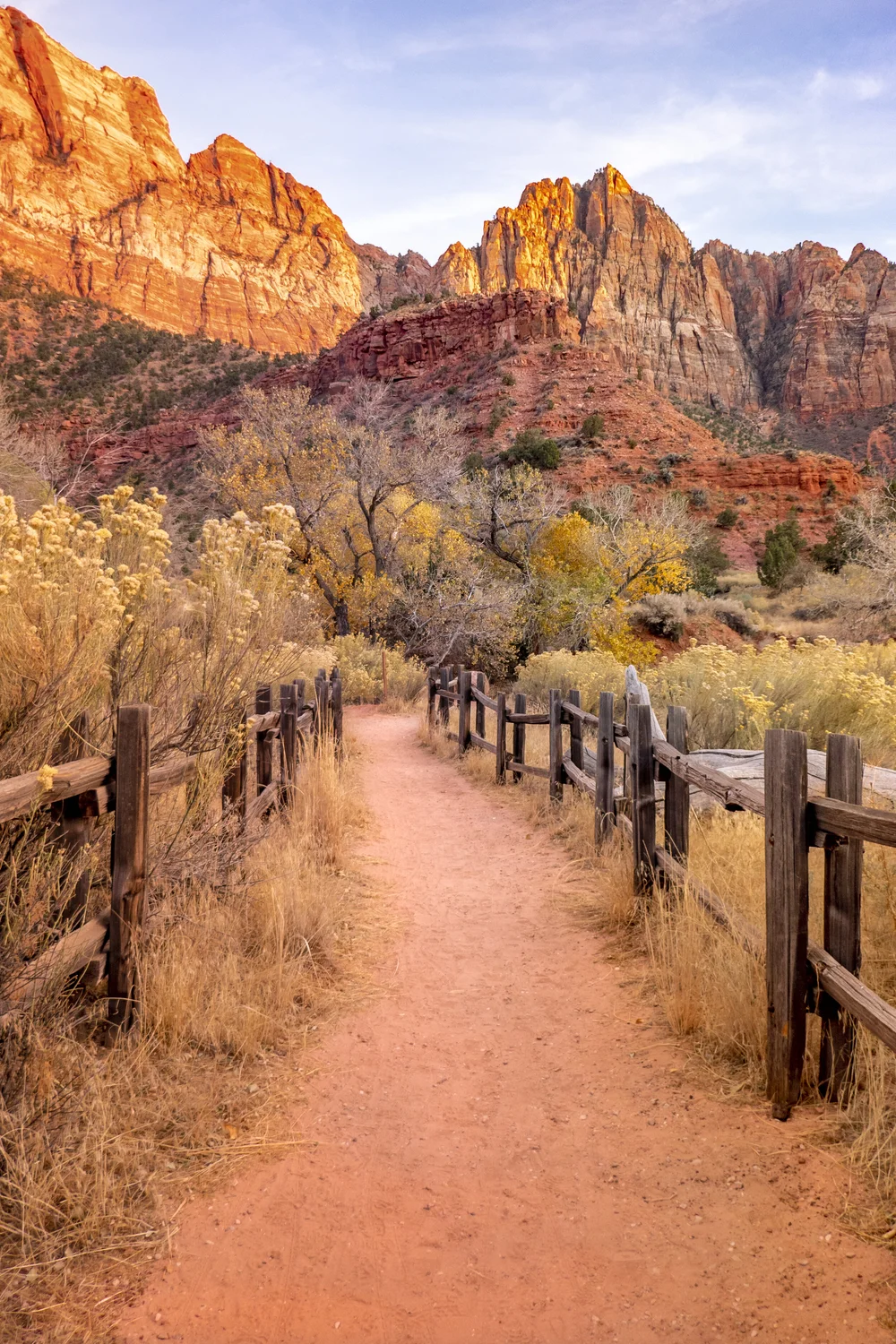 Golden Pathway — Peg Hess Photography