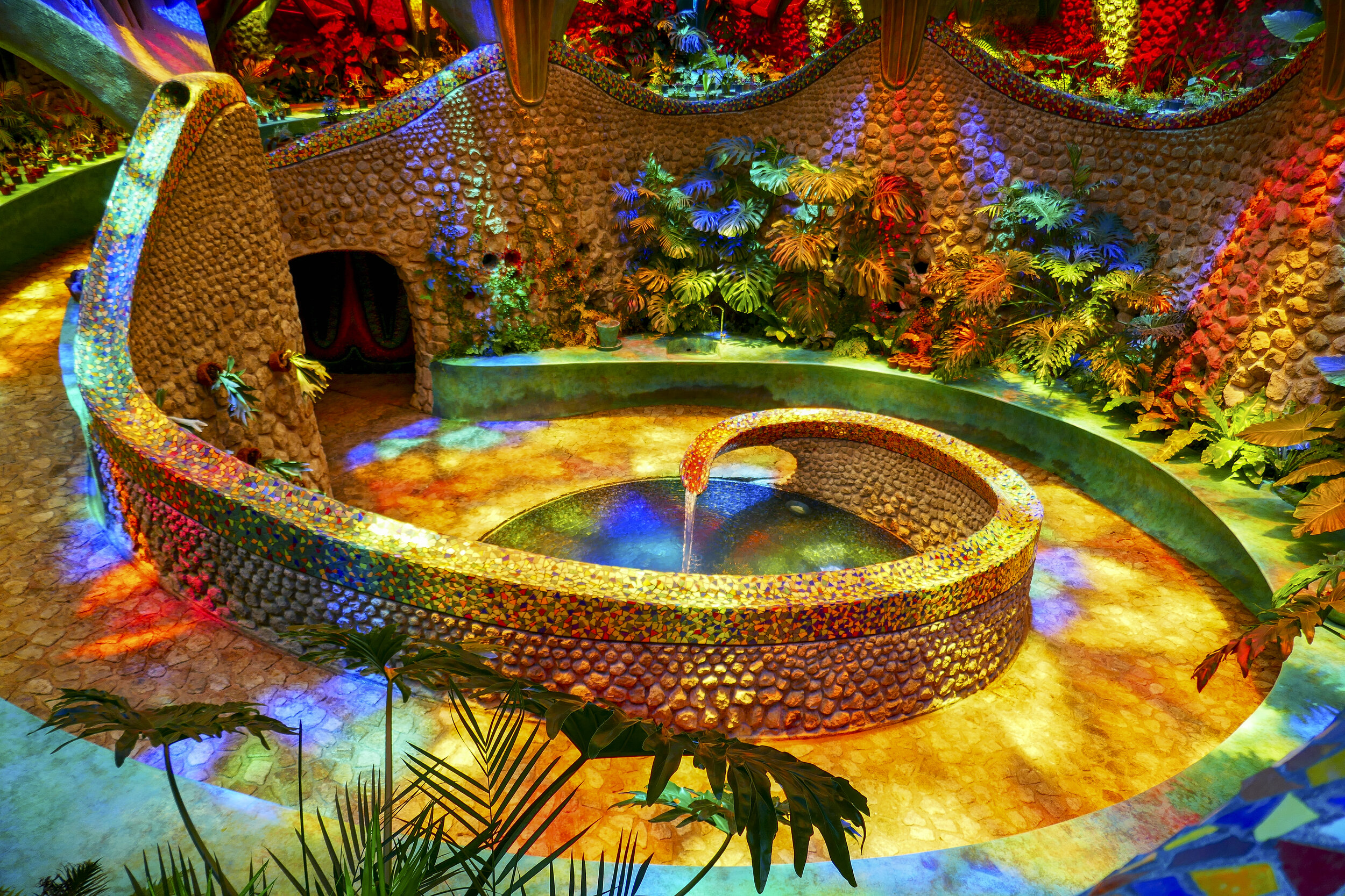 Look Closely — Peg Hess Photography