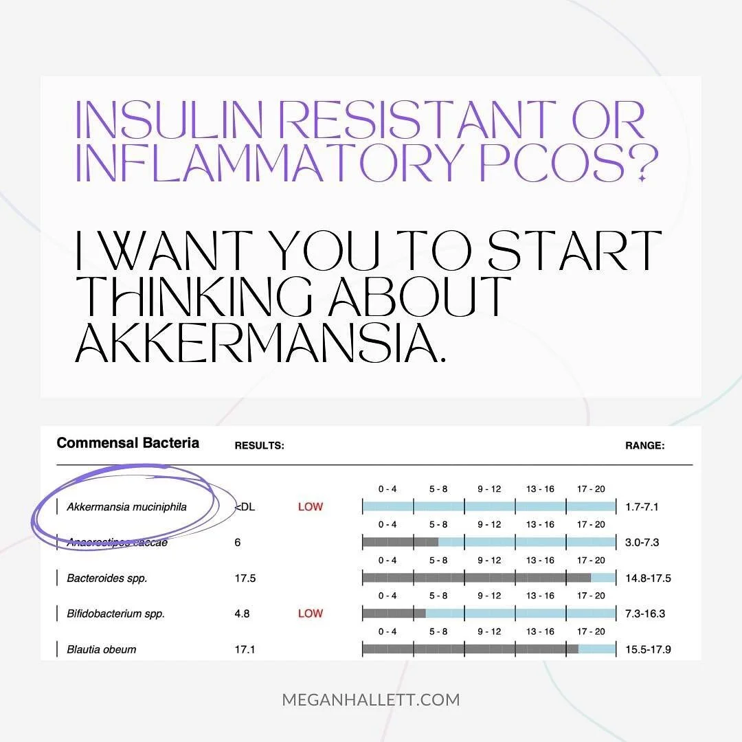 Women's Health Nutritionist Online - Megan Hallett