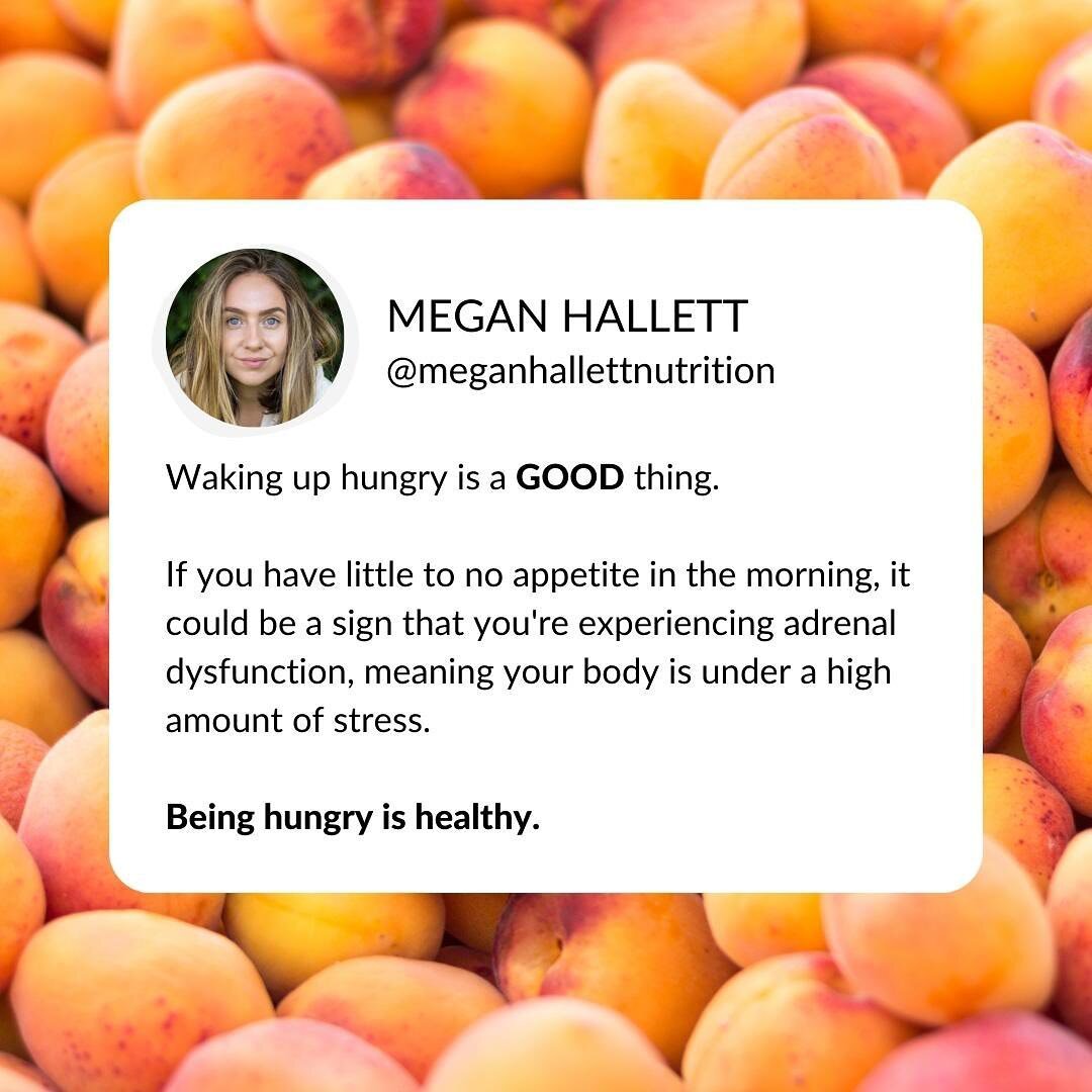 Women's Health Nutritionist Online - Megan Hallett
