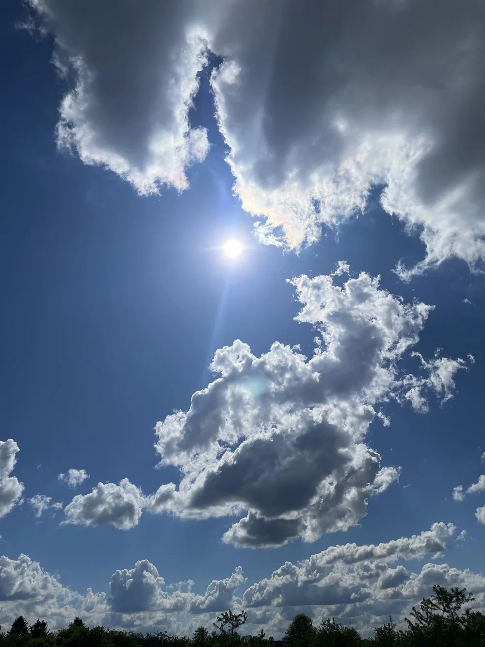 Whitney Sweeney - Open Spaces Coaching