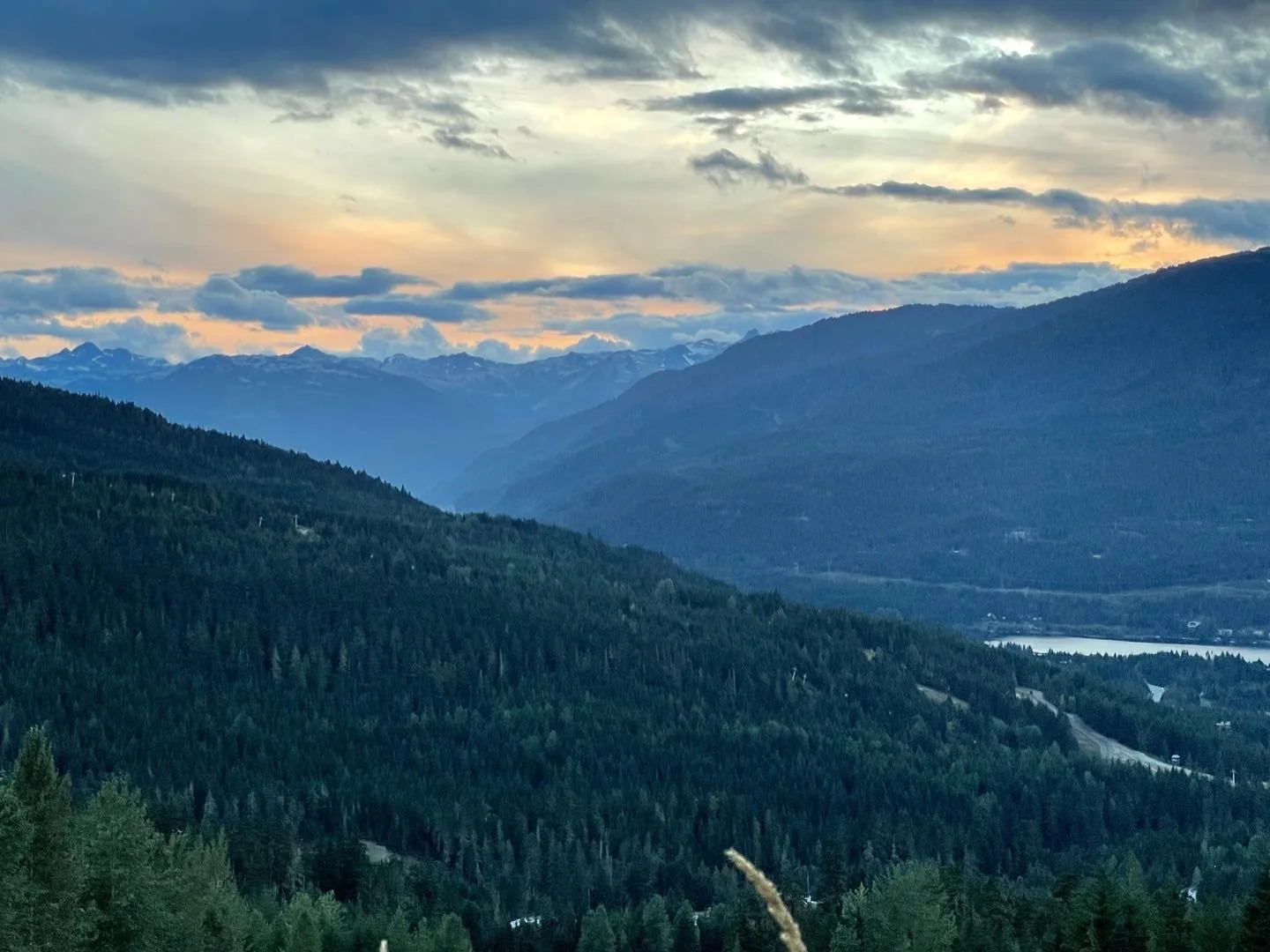 Whitney Sweeney - Open Spaces Coaching