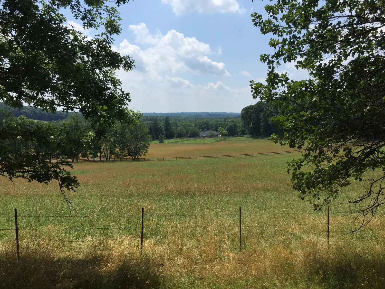 New Life Farms
