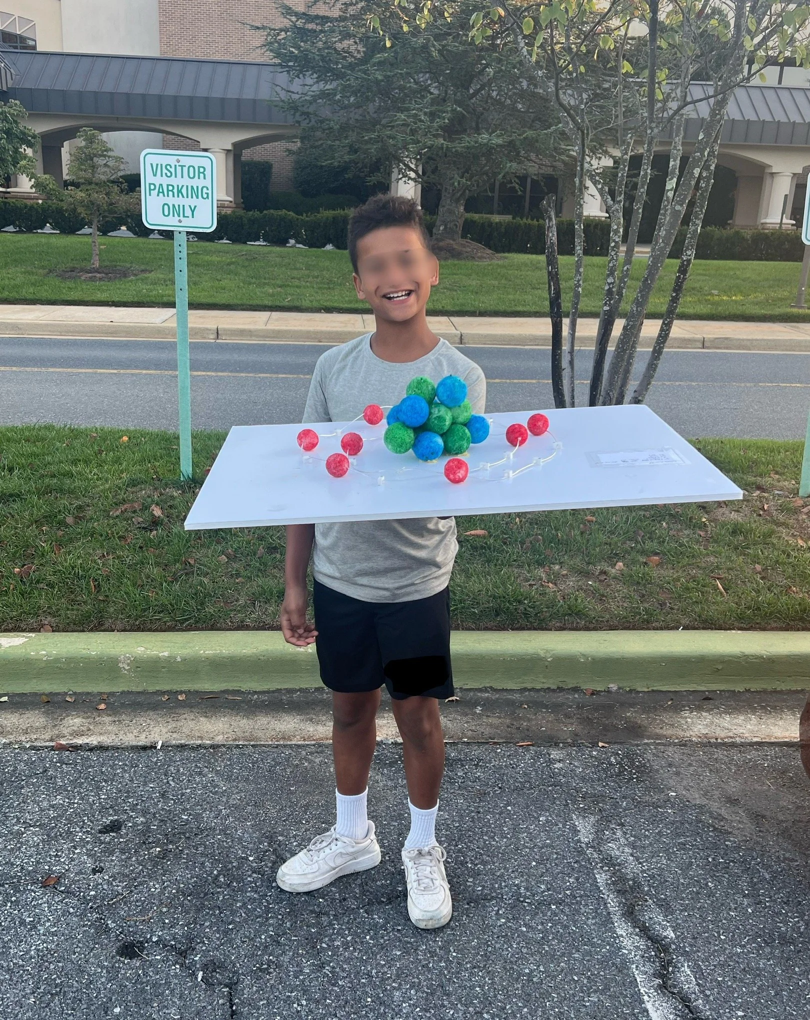 Navigating Kids School Projects: Family Teamwork Makes the Dream Work ...