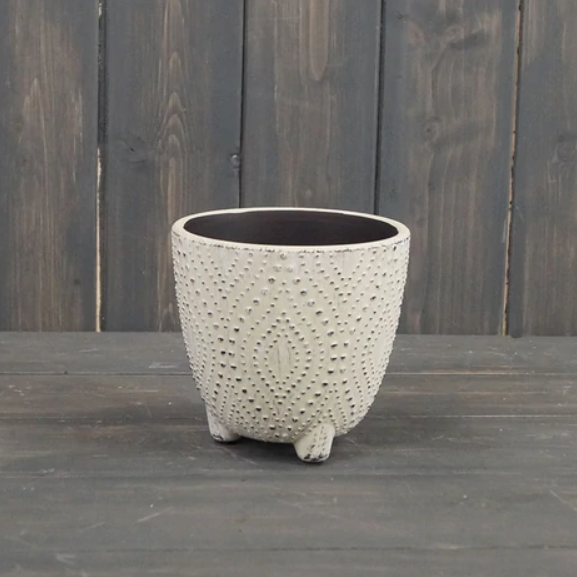 Pots & Plants — Anemone Florist